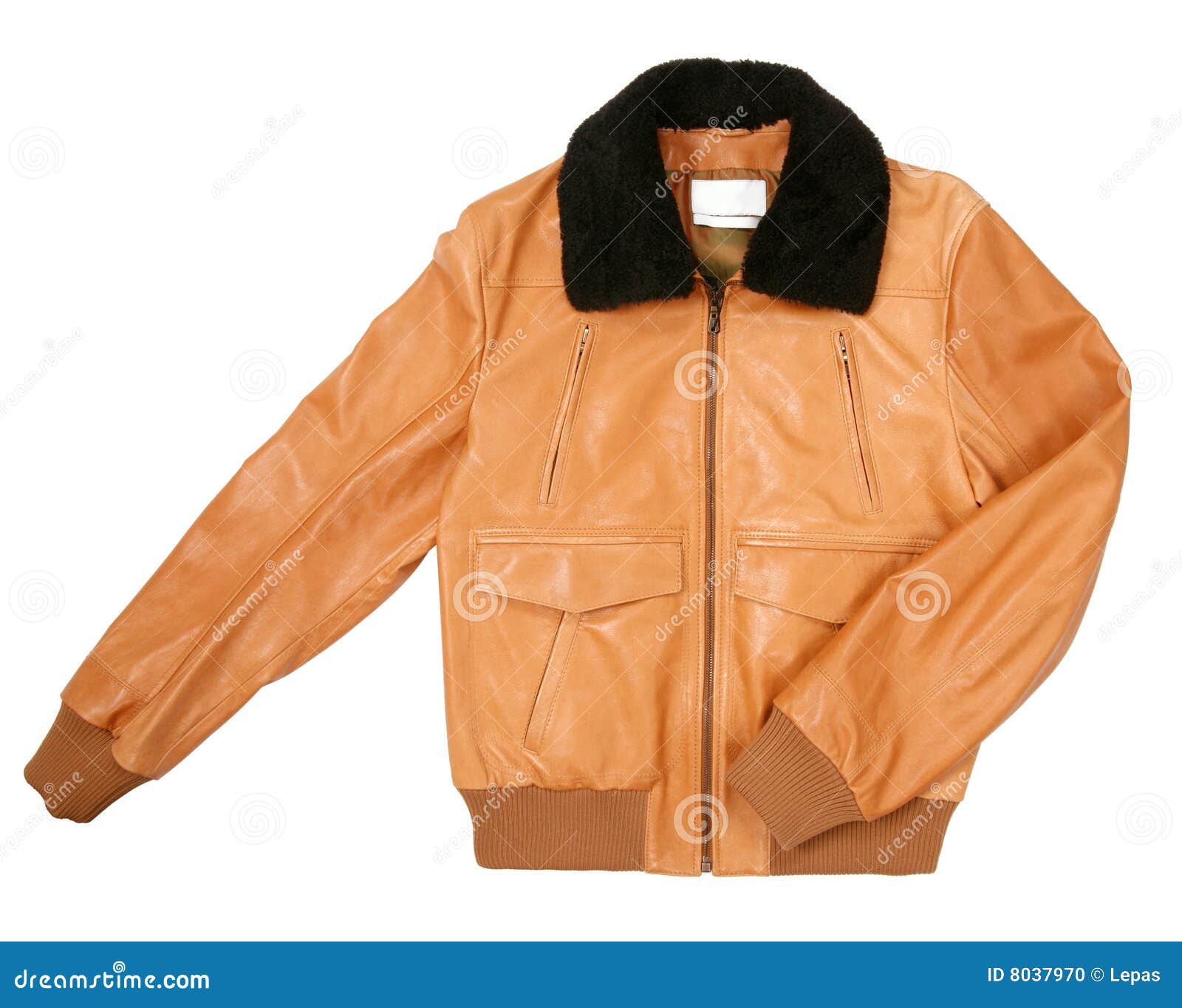 Yellow jacket stock photo. Image of clothing, jacket, yellow - 8037970