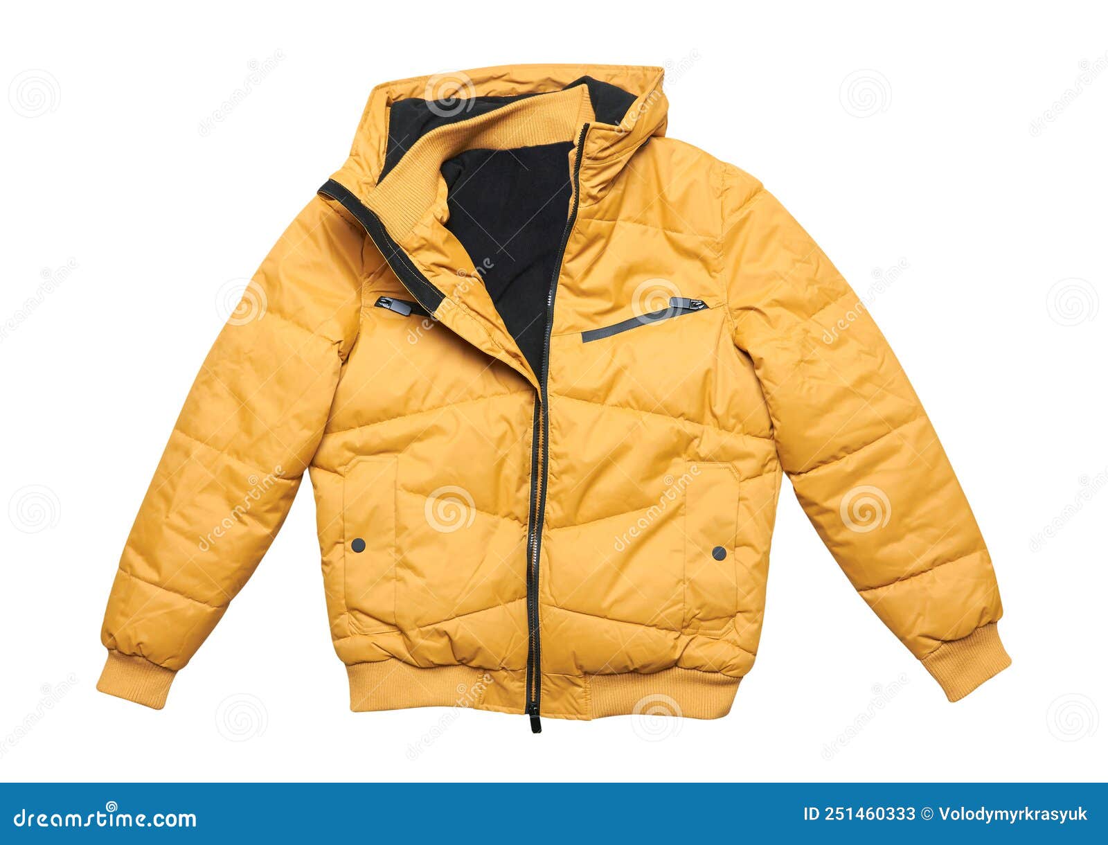Yellow Jacket on white stock image. Image of suit, collection - 251460333