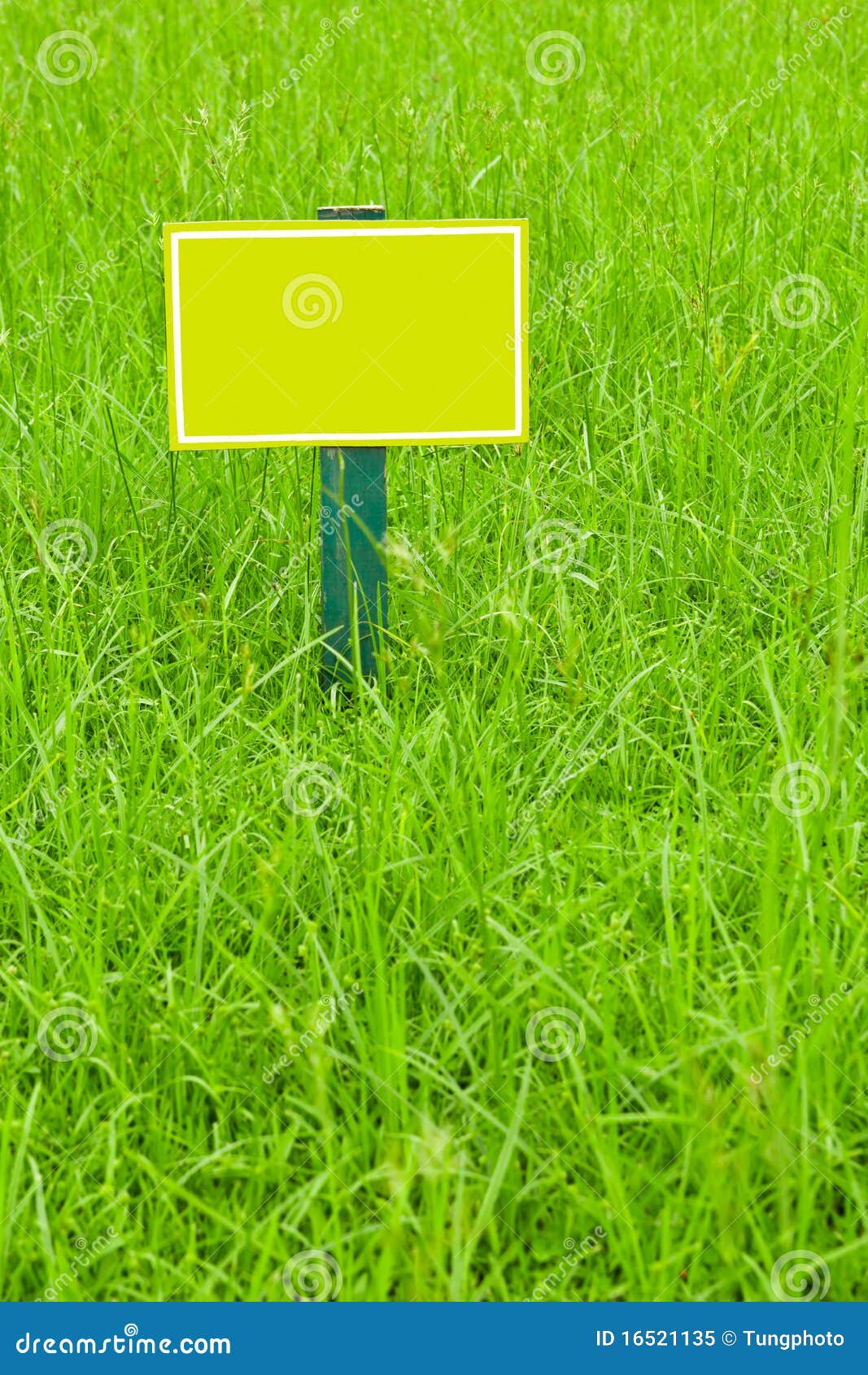 Yellow label stock image. Image of empty, open, clip - 16521135