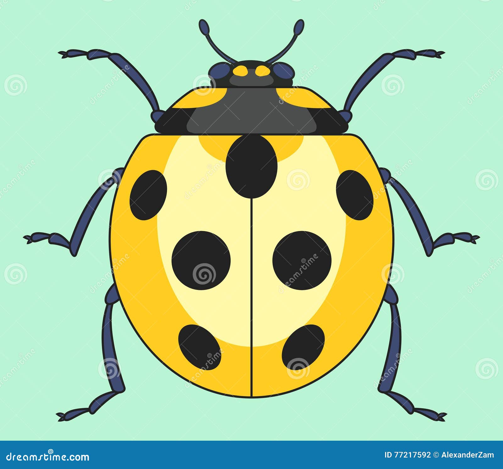 Yellow ladybug insect stock vector. Illustration of spotted - 77217592