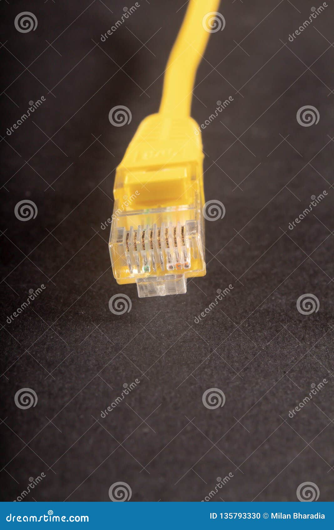 Yellow Lan Wire on White Background Stock Photo - Image of connector ...