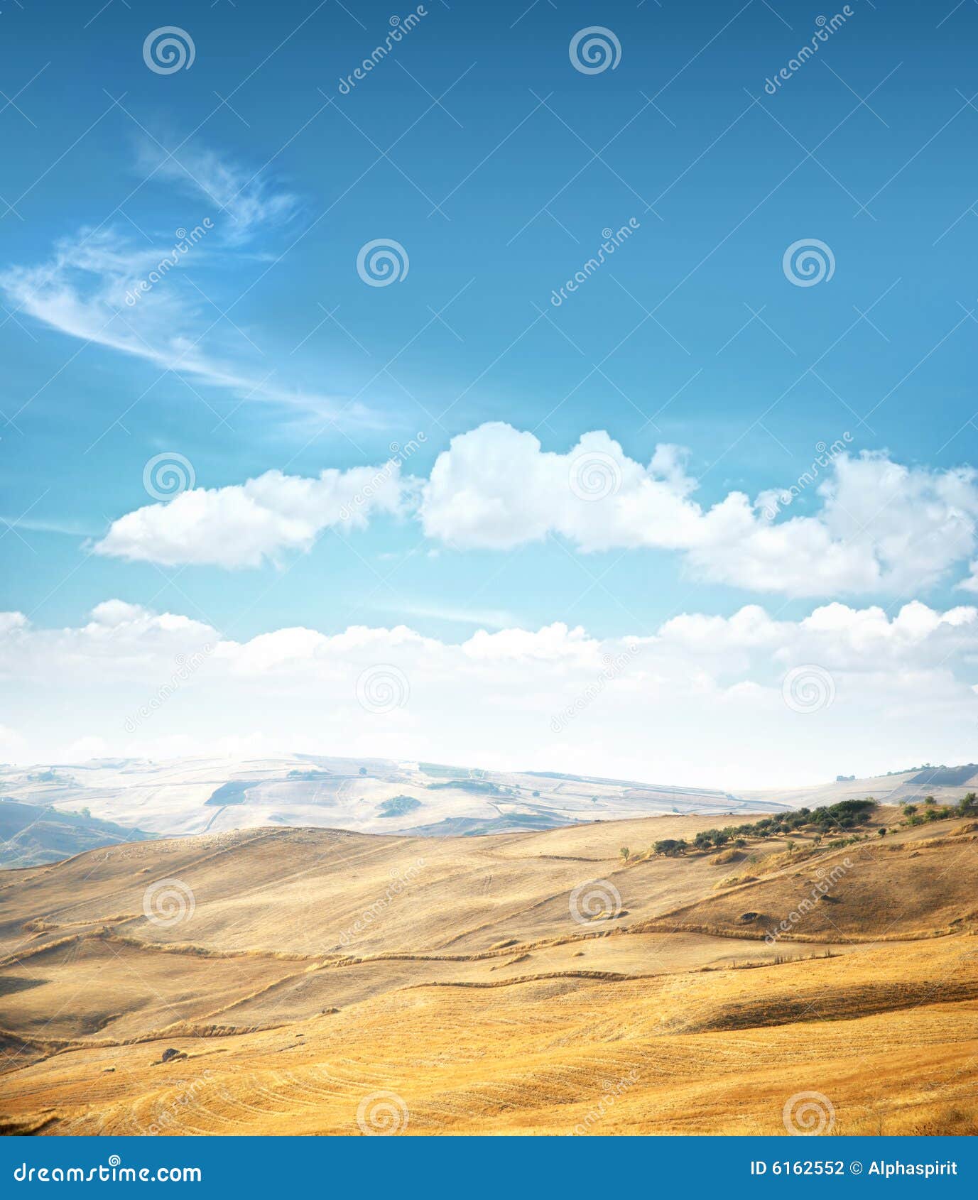Yellow landscape stock photo. Image of pasture, farm, view - 6162552
