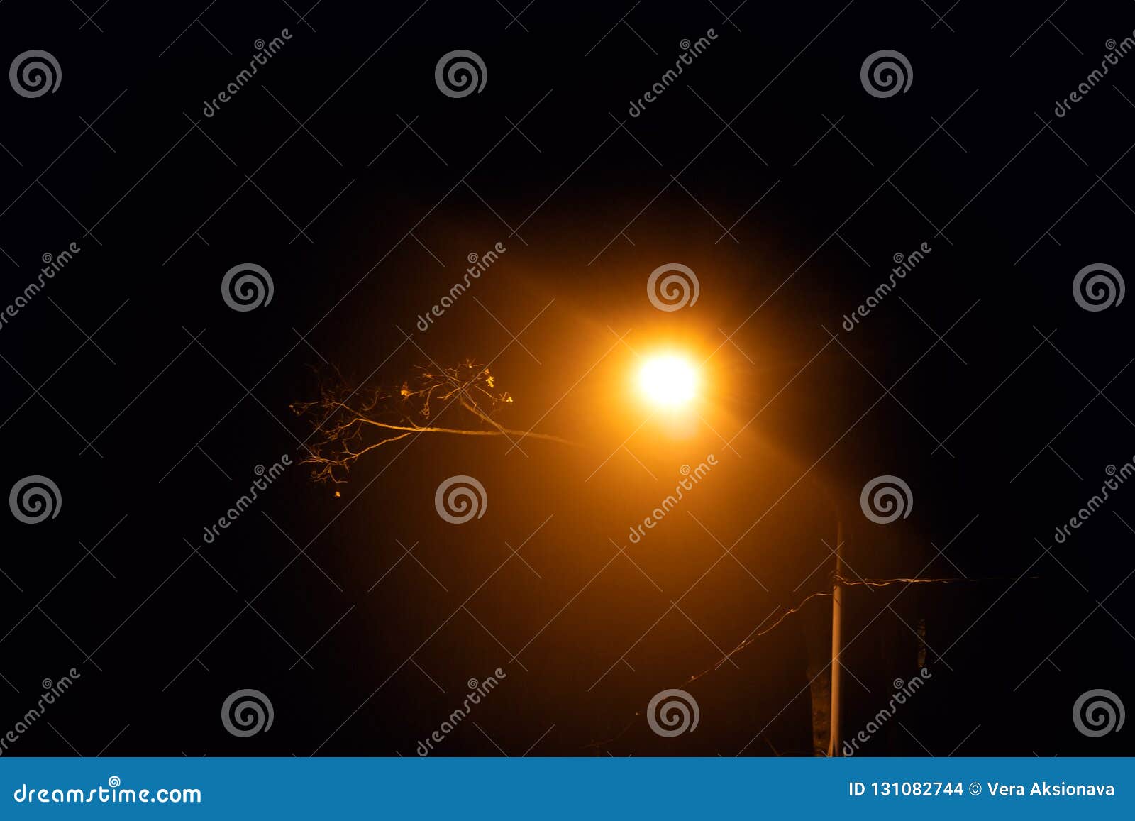 Yellow Lantern and Tree Branch in the Dark Stock Photo - Image of ...
