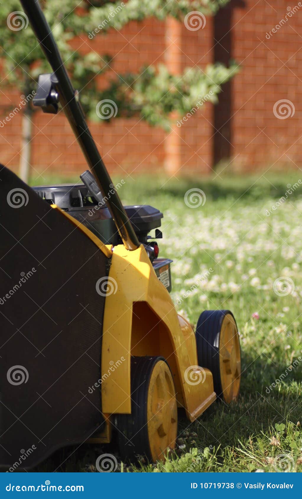Yellow Lawn Mower on Green Grass Stock Photo - Image of long, field ...