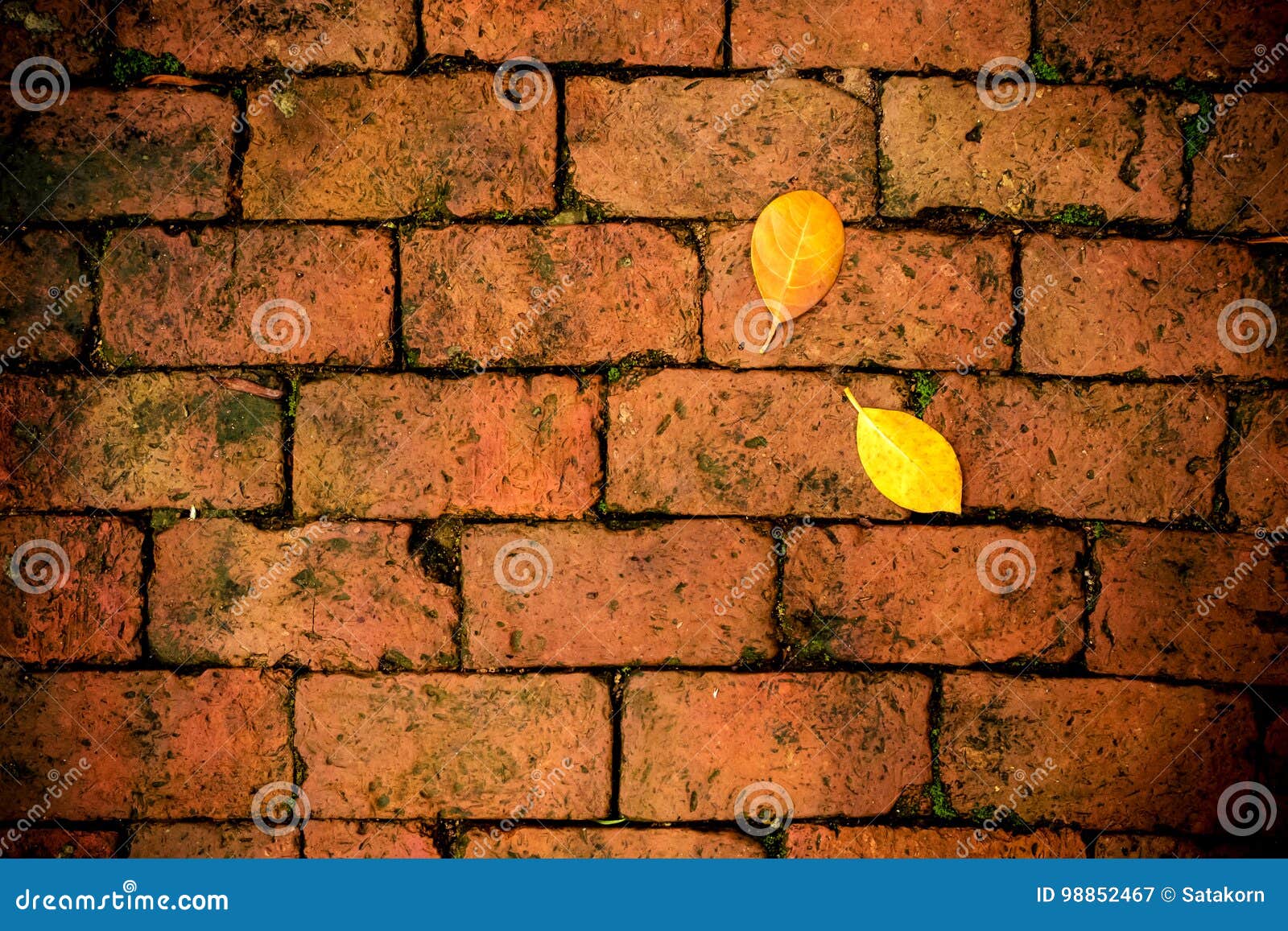 Yellow Leaf Fall on Red Brick Floor Stock Image - Image of pattern ...