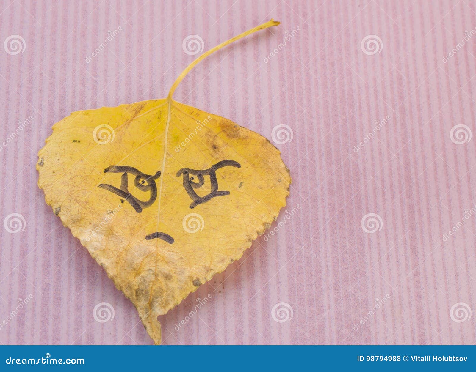 Yellow Leaf with an Image of an Evil Smilecoat O Stock Photo - Image of ...