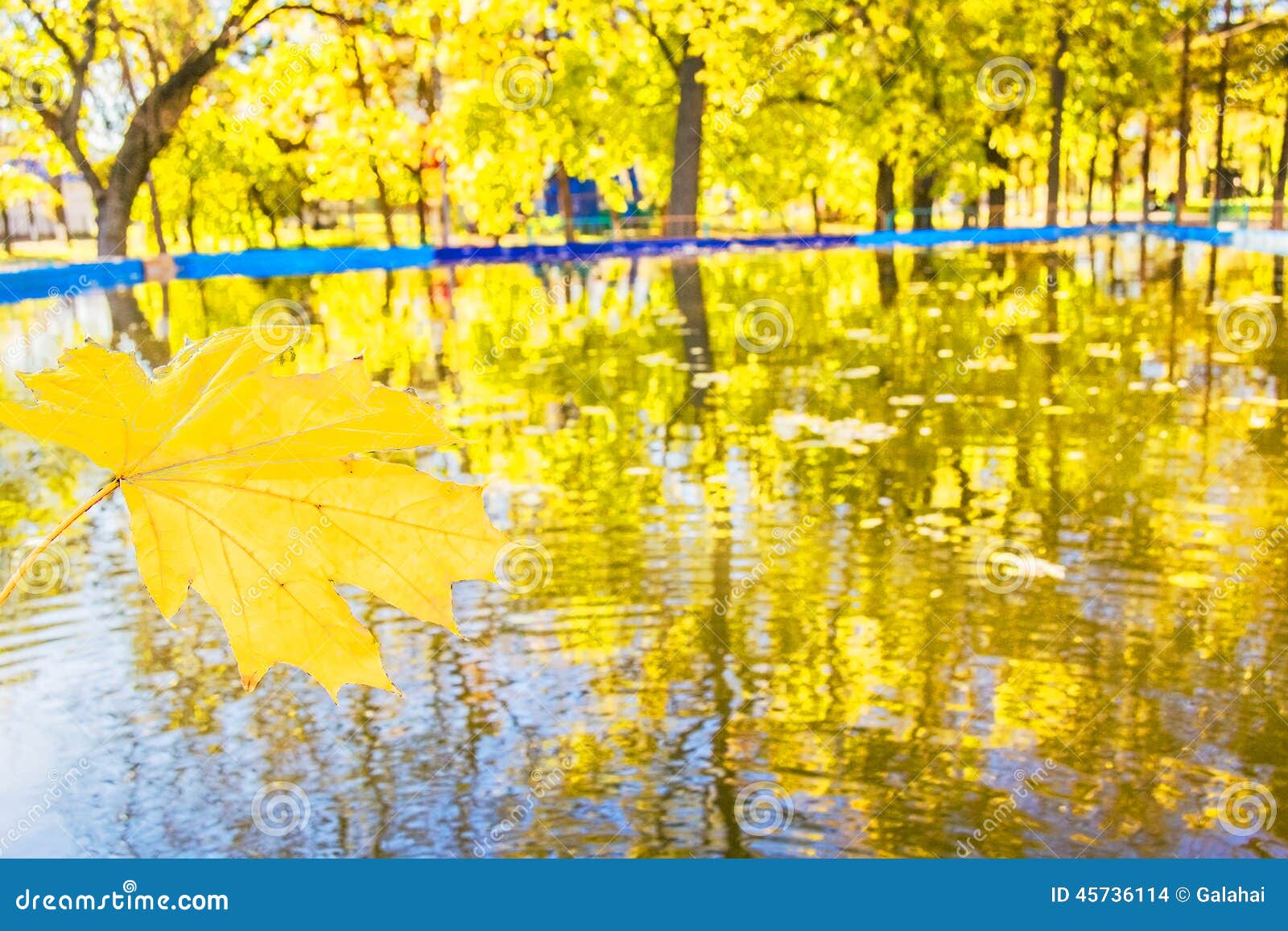 Yellow Leaf and Reflections of Autumn Park Stock Photo - Image of ...