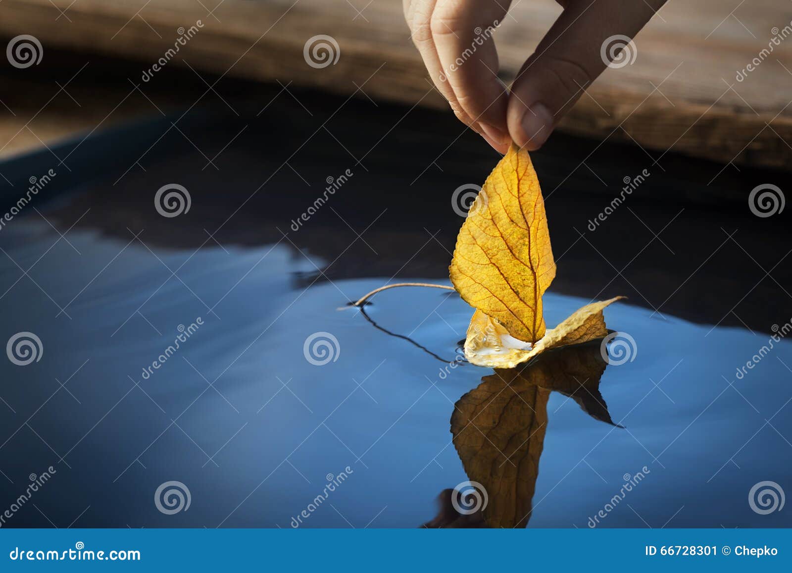 Yellow leaf ship stock image. Image of childhood, little - 66728301
