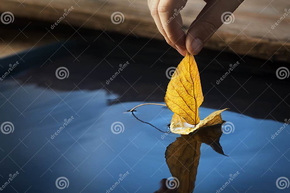 Yellow leaf ship stock image. Image of childhood, little - 66728301