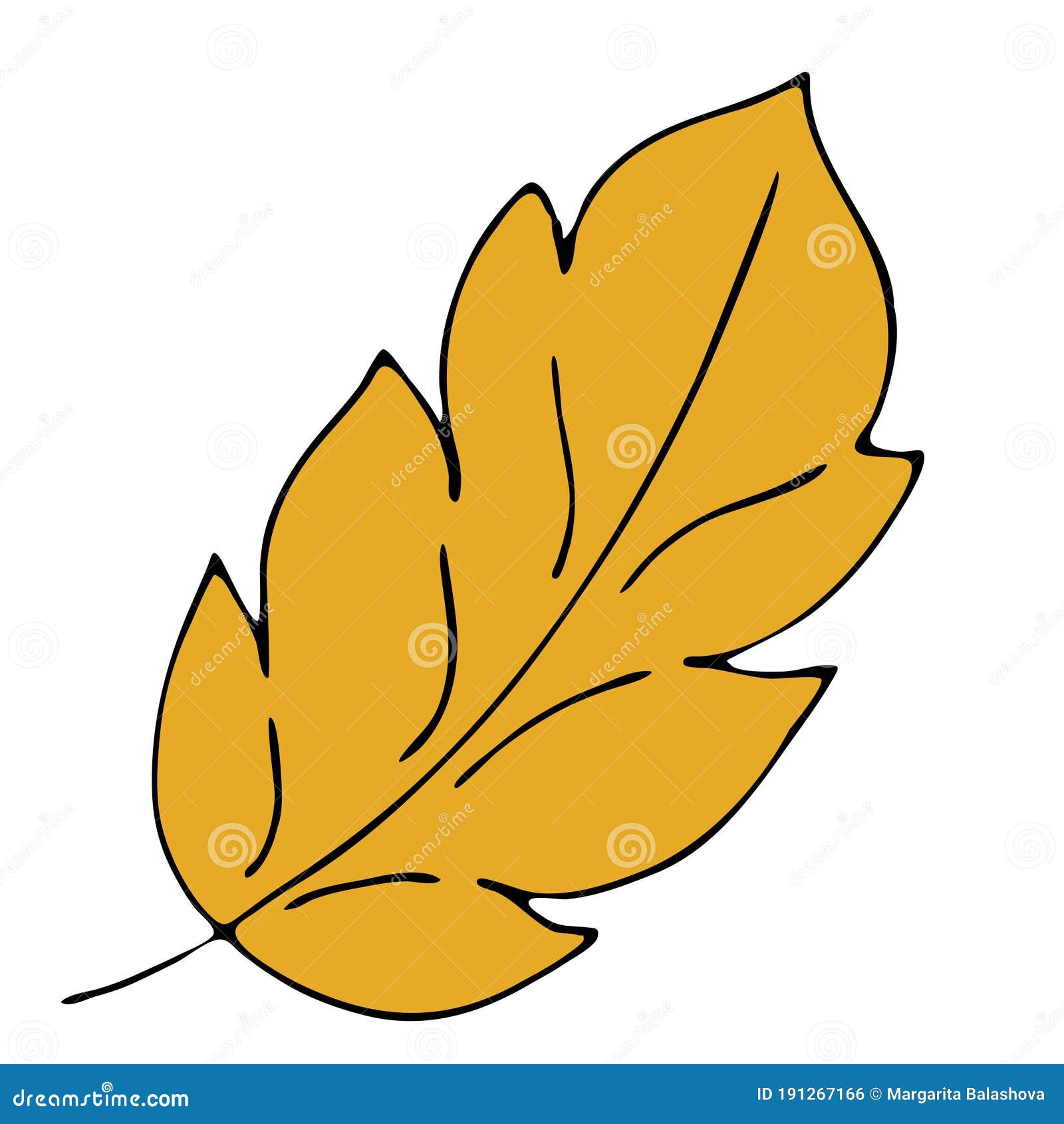 Yellow Leaf with Veins, Color Vector Doodles with Black Outline Stock ...