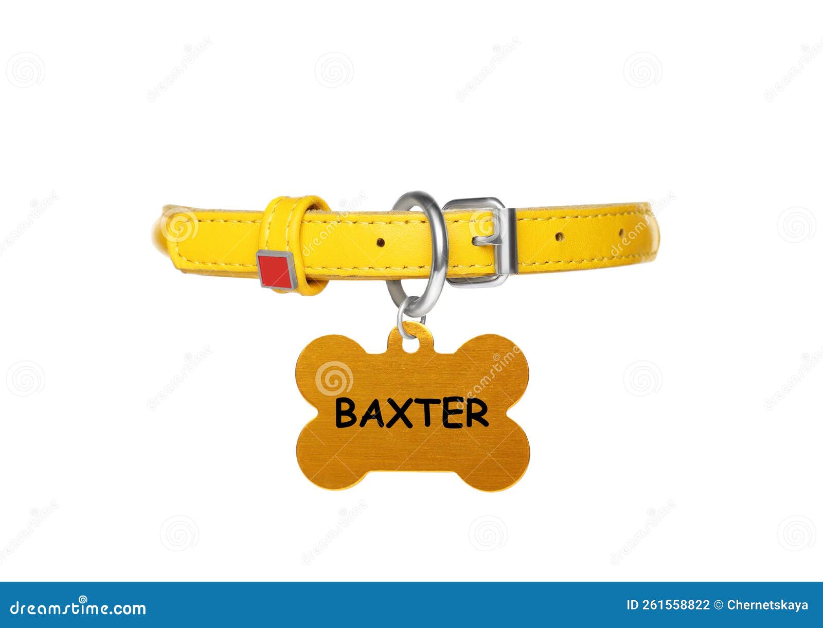 Yellow Leather Dog Collar with Bone Shaped Tag Isolated on White Stock ...