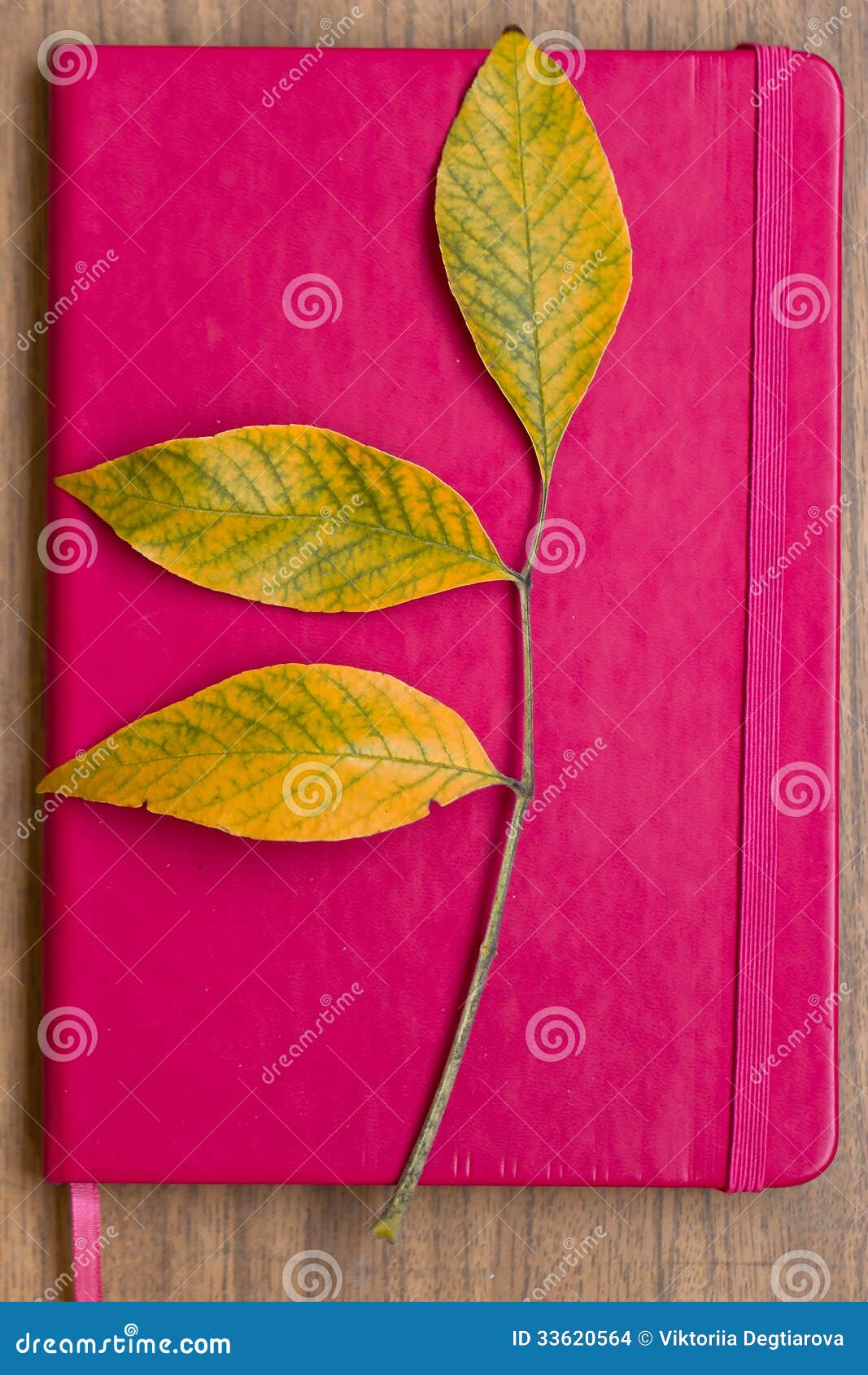 Yellow leaves on a notepad stock photo. Image of flying - 33620564