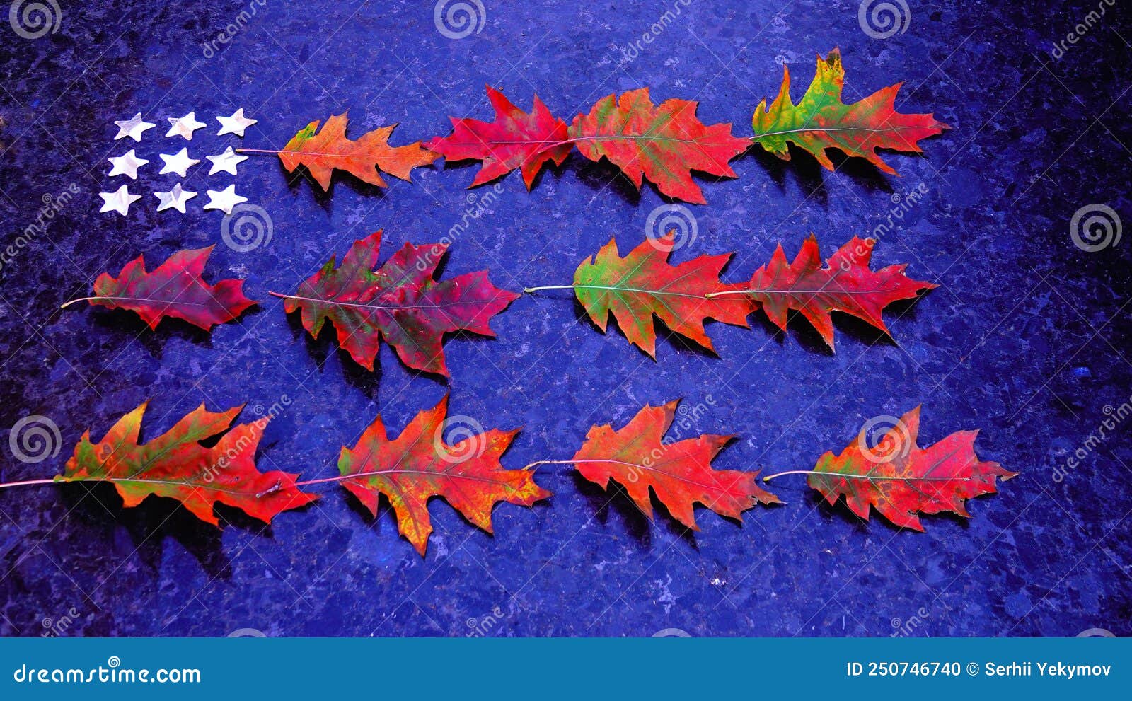 Autumn Leaves in the Form of a Flag Stock Photo - Image of leaves ...