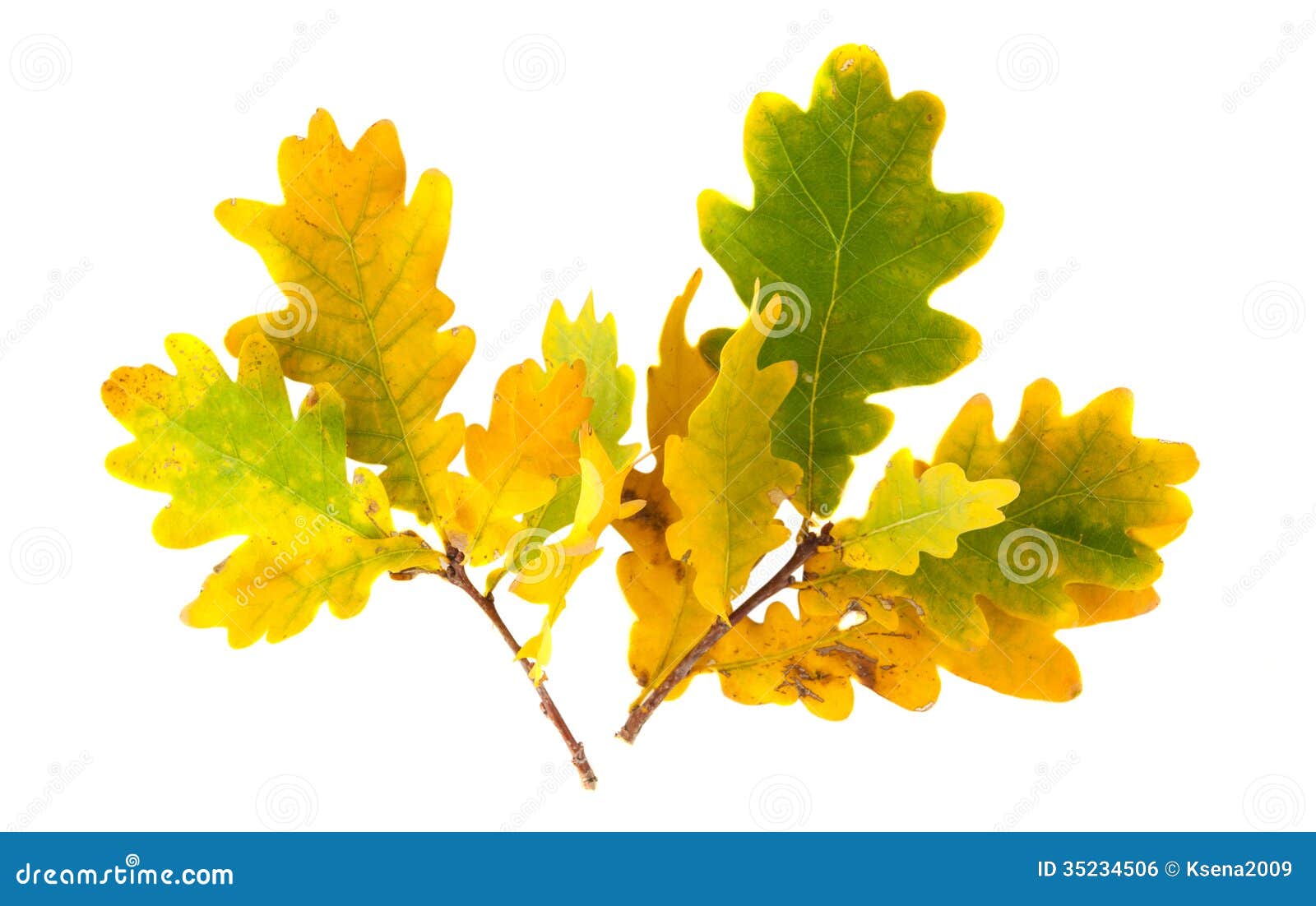 Yellow leaves stock photo. Image of background, autumn - 35234506