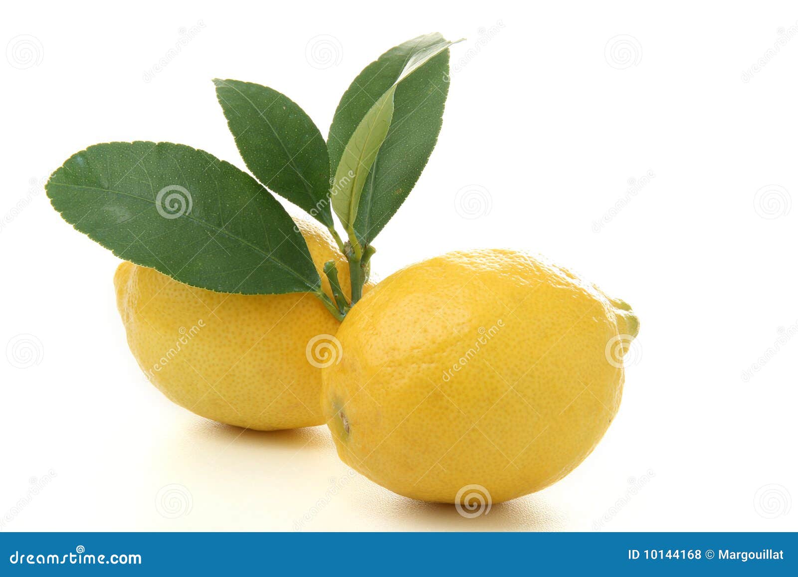 Yellow lemon stock photo. Image of freshness, vitamin - 10144168
