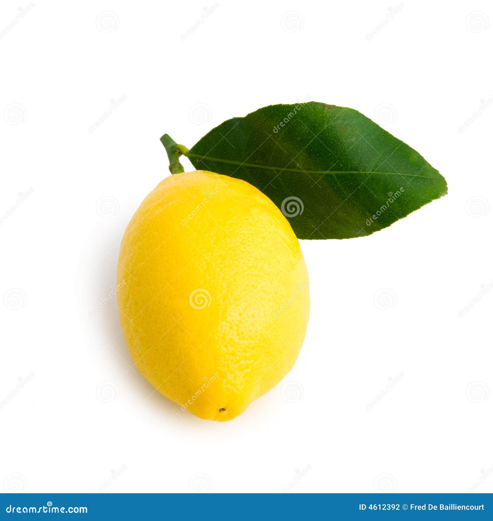 Yellow lemon stock photo. Image of clipping, fruit, stem - 4612392