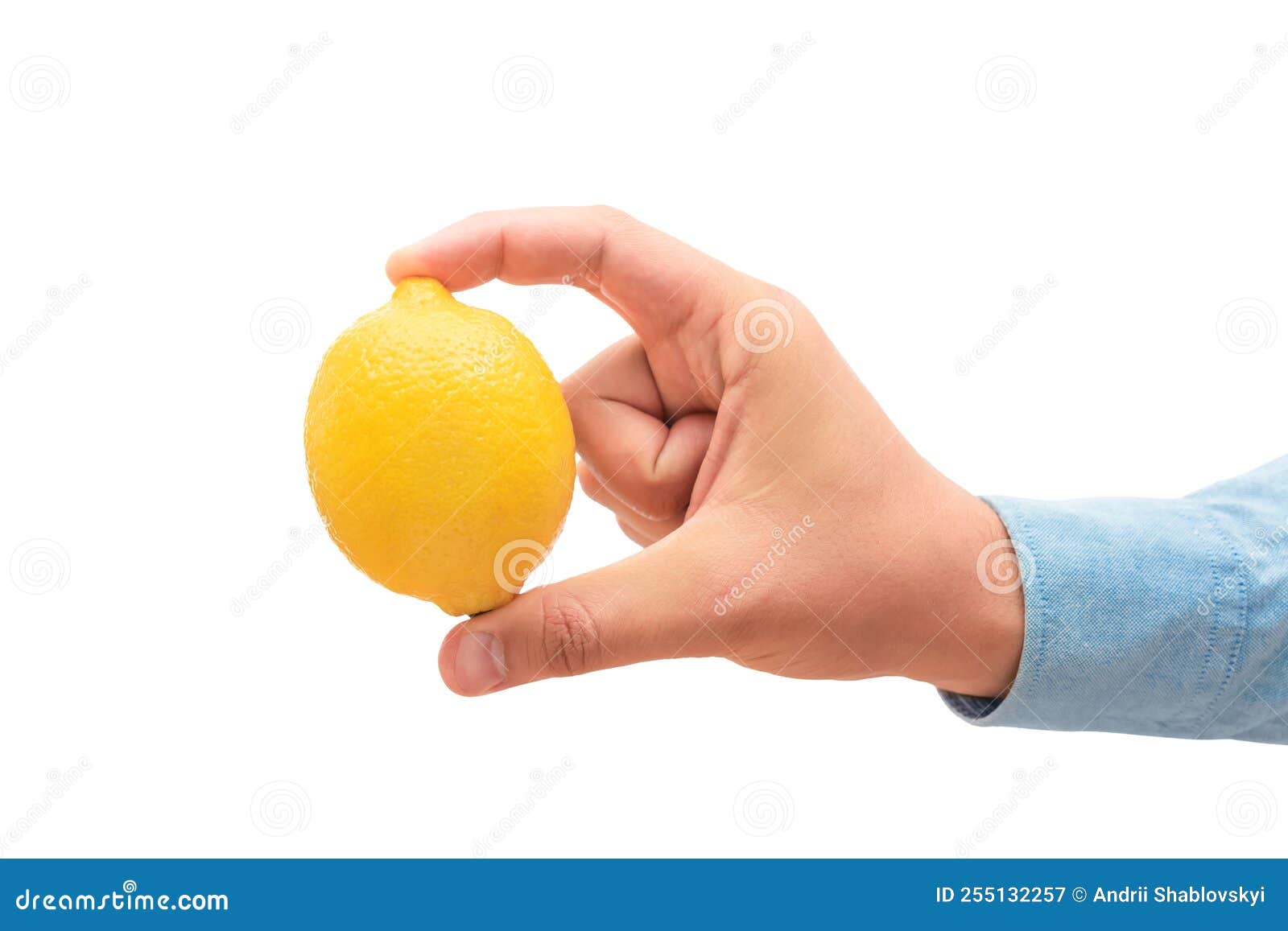 Yellow Lemon in Chef& X27;s Hand Isolated on White Background. the ...