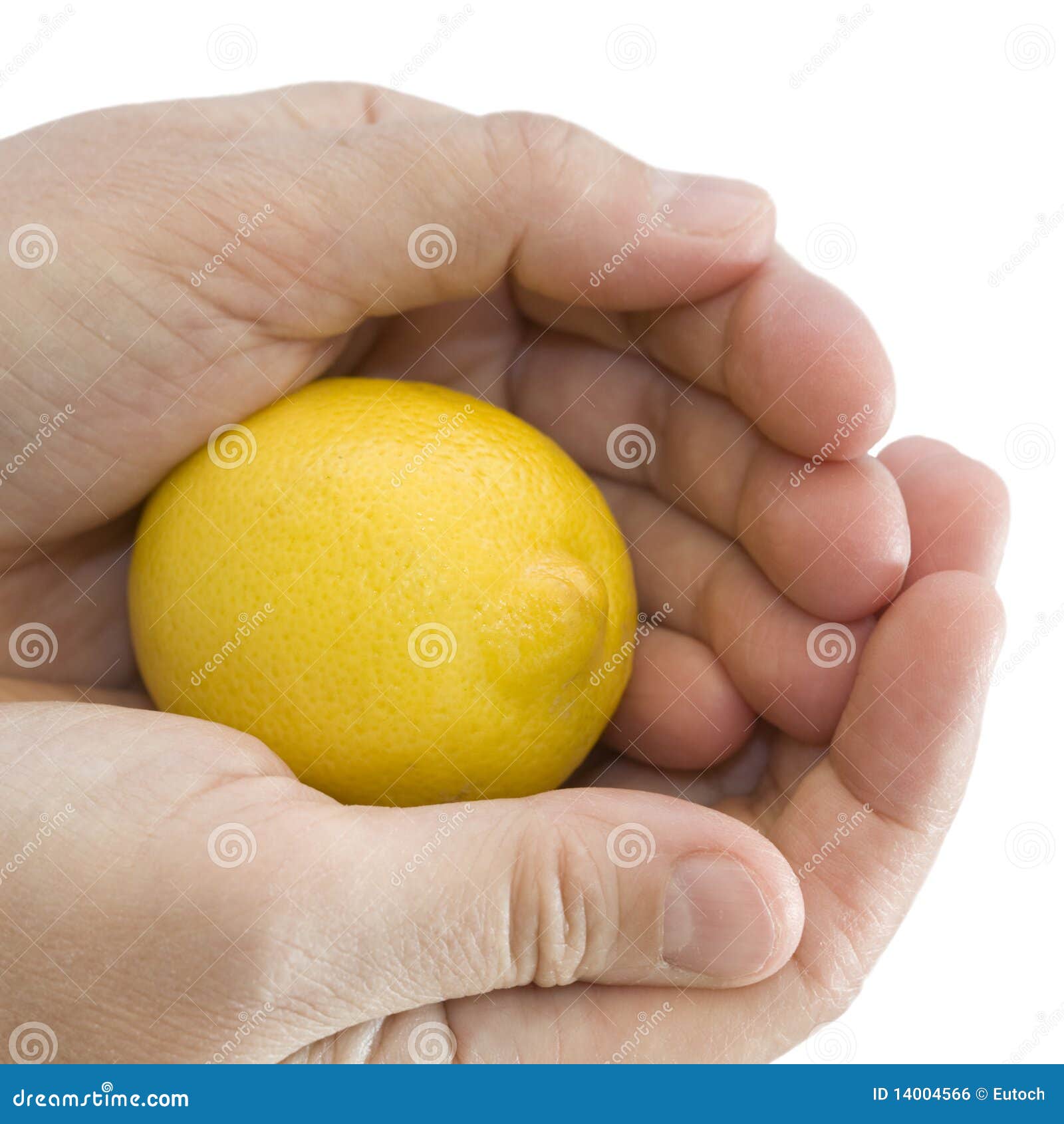 Yellow Lemon in Hands stock photo. Image of zesty, human - 14004566