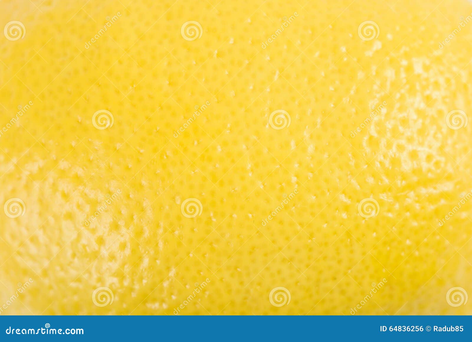 Yellow Lemon Peel Texture stock photo. Image of skin - 64836256