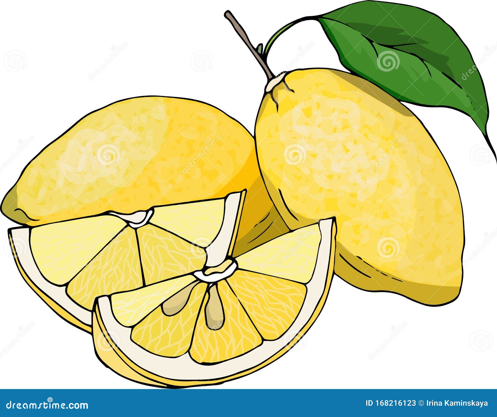 Yellow Lemon with Slices on a White Background. Realistic Vector Hand ...