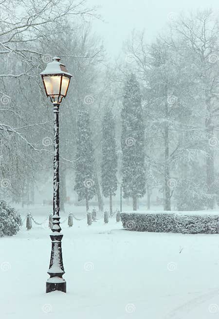 Yellow light stock image. Image of landscape, forest, snowscape - 3449017