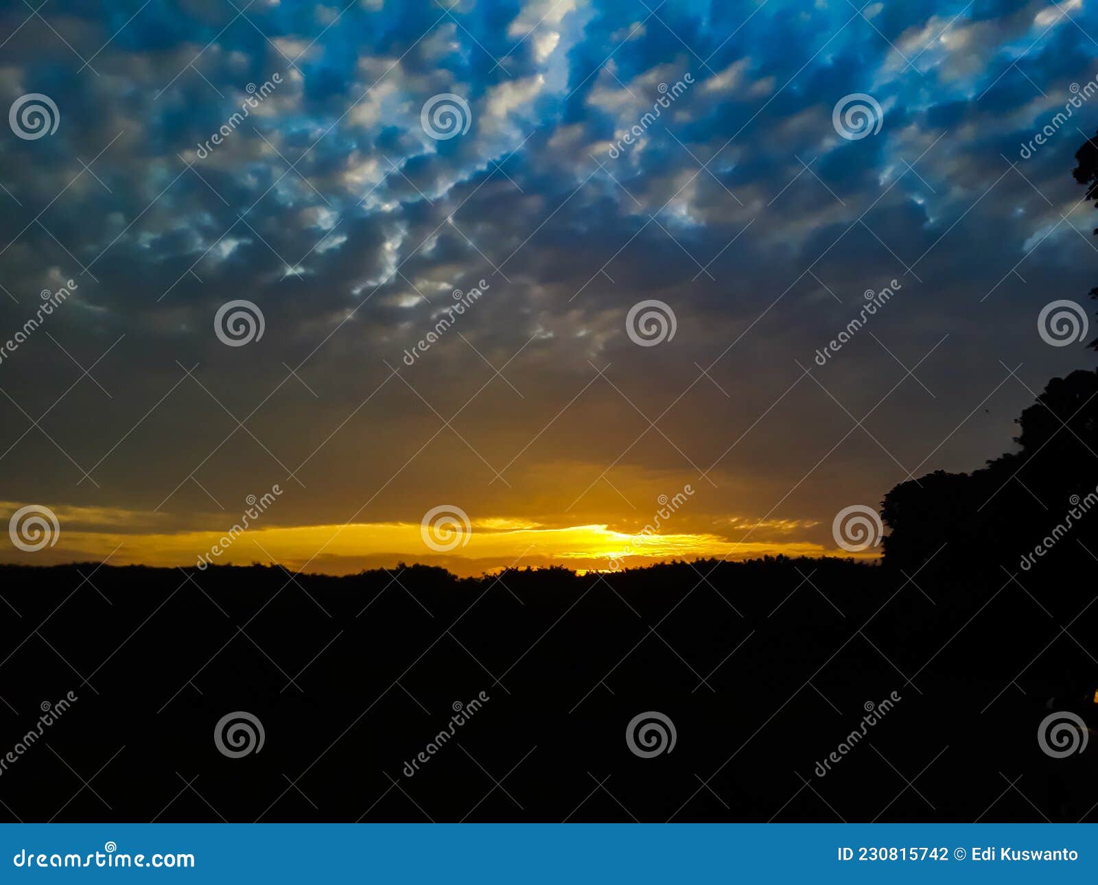 Yellow Light and Blue Sky in the Afternoon Stock Photo - Image of ...