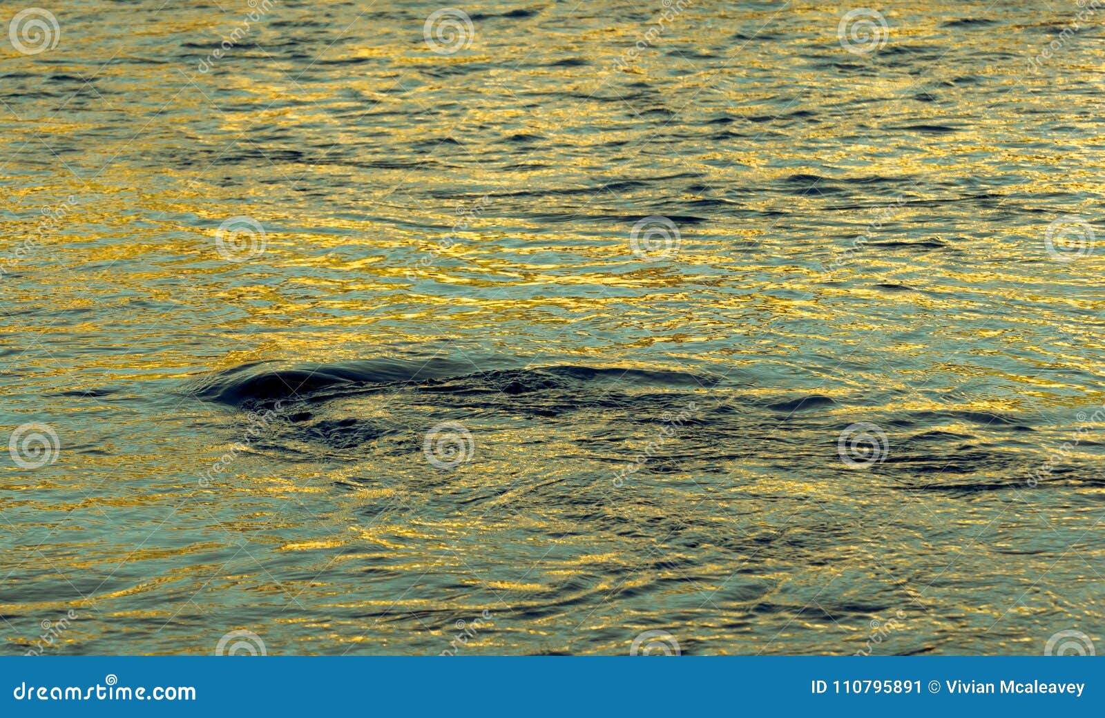 Light Reflections on Moving Water Stock Image - Image of pattern, blue ...