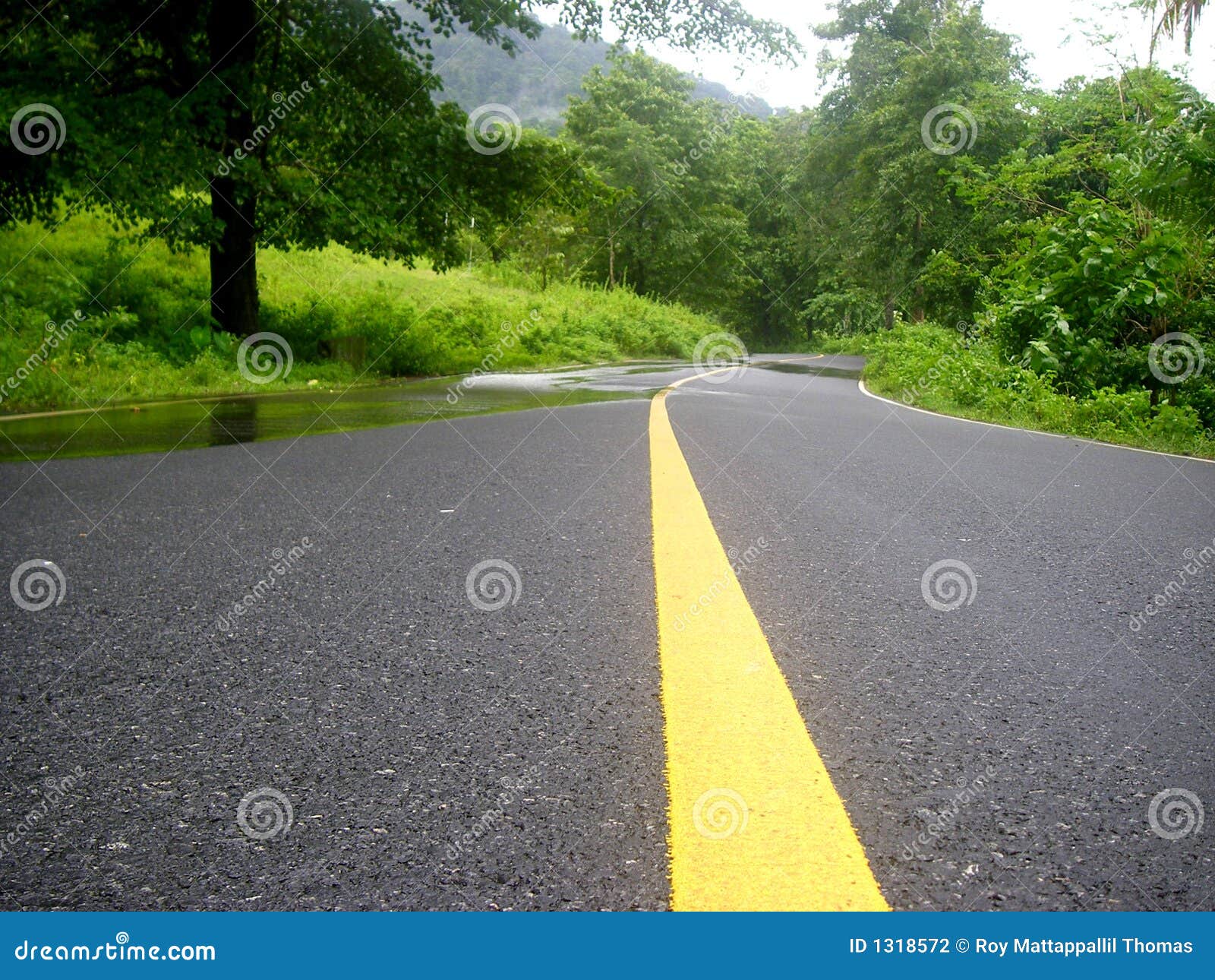 Yellow line stock photo. Image of landscape, travel, yellow - 1318572