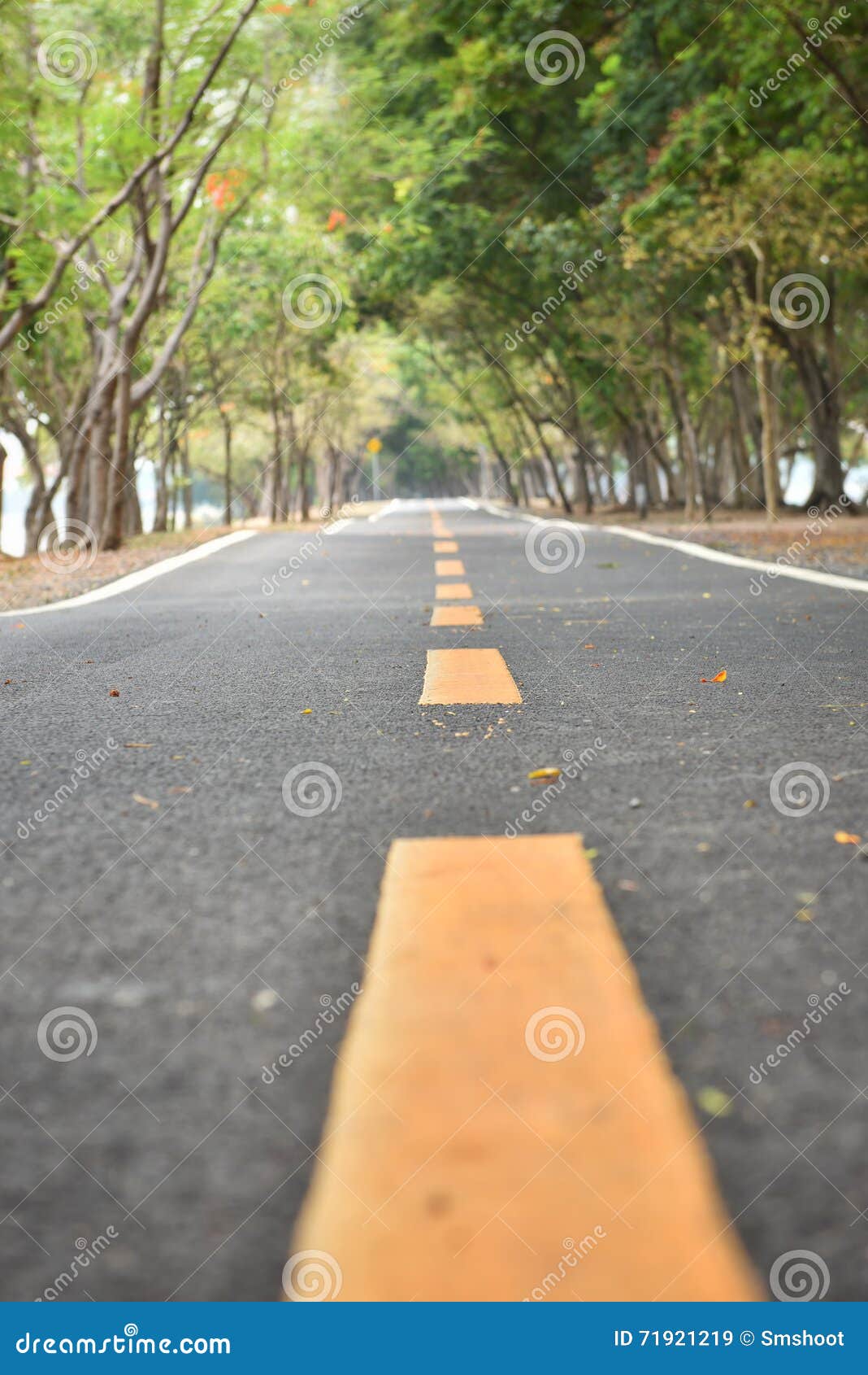 Yellow Line Marking on Road Surface Stock Image - Image of perspective ...