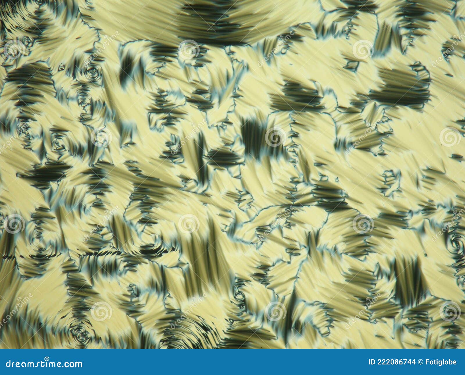 Yellow Liquid Crystal Under Polarized Light Microscope Stock ...