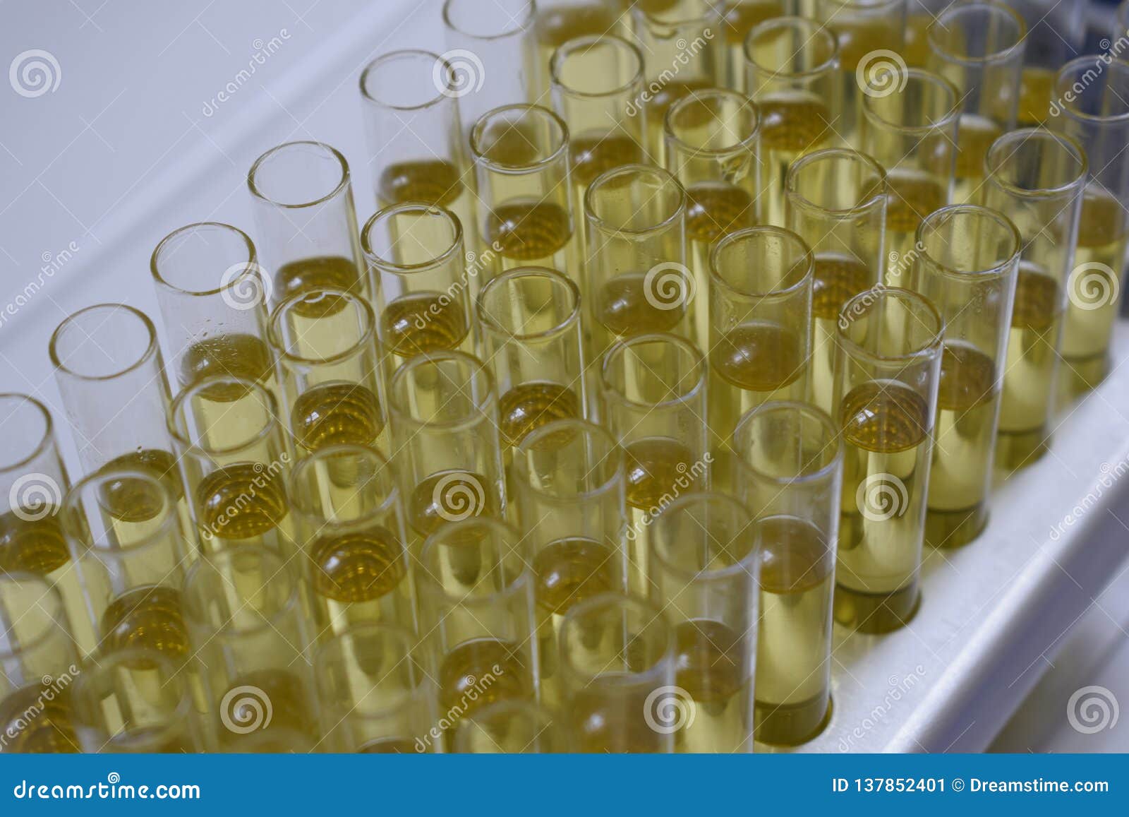 Yellow liquid test tubes stock image. Image of science - 137852401