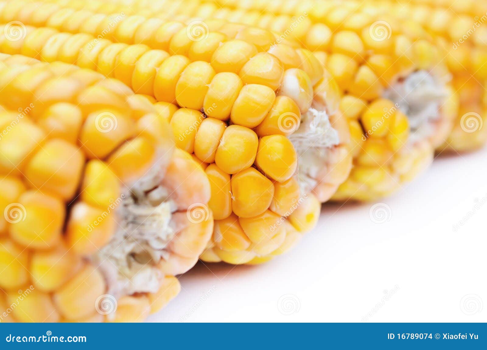 Yellow maize stock photo. Image of crop, commercial, particle - 16789074
