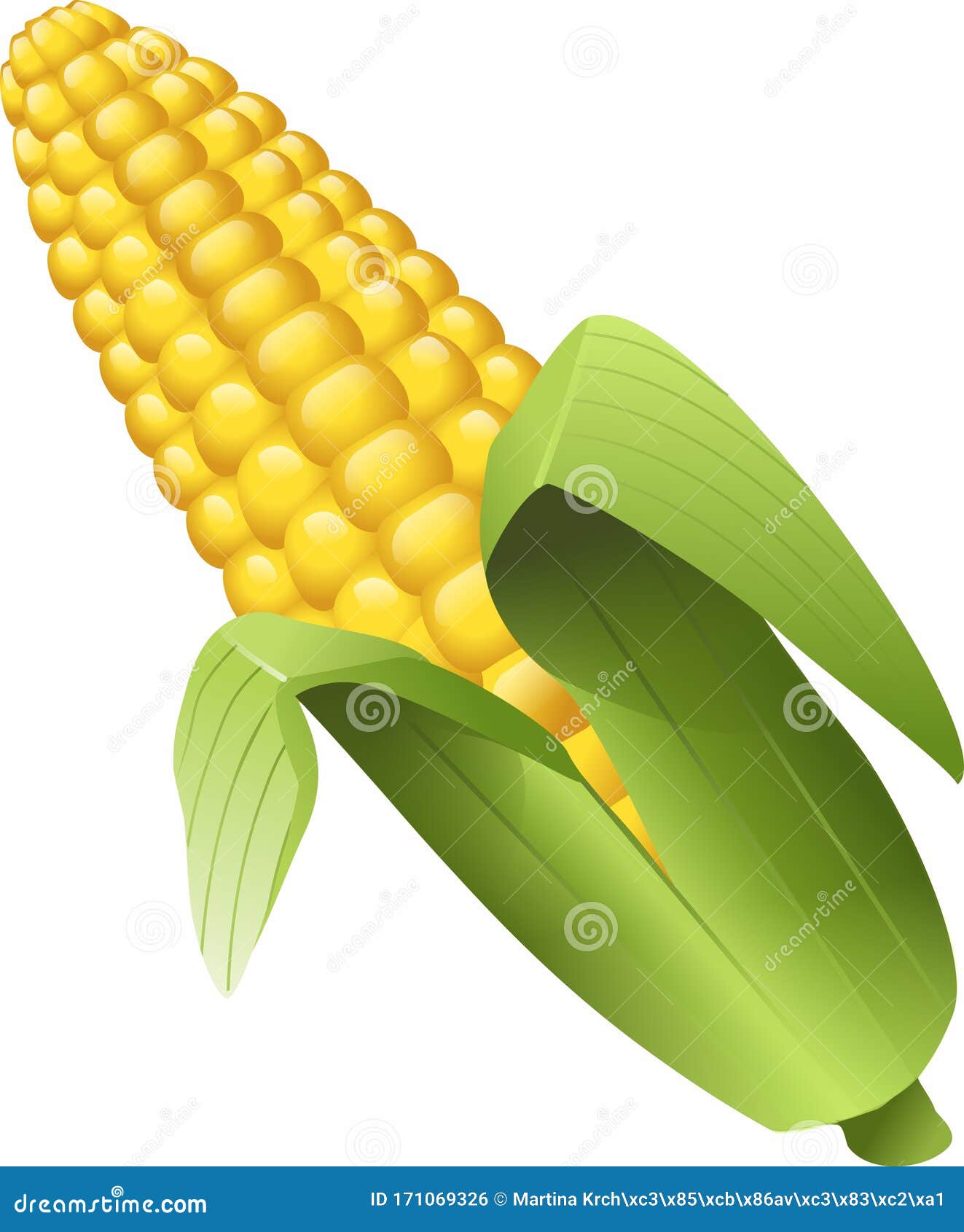 An Ear Of Corn Cob With Husk. Cartoon Trendy Style. Maize. Bright Ripe ...