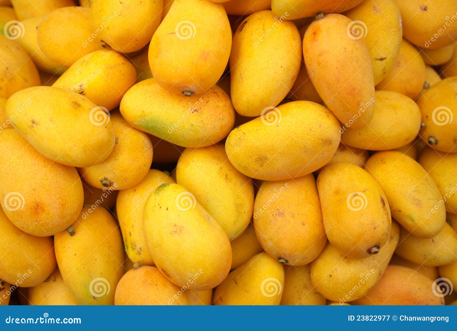 Yellow mango stock image. Image of closeup, market, flavorful - 23822977