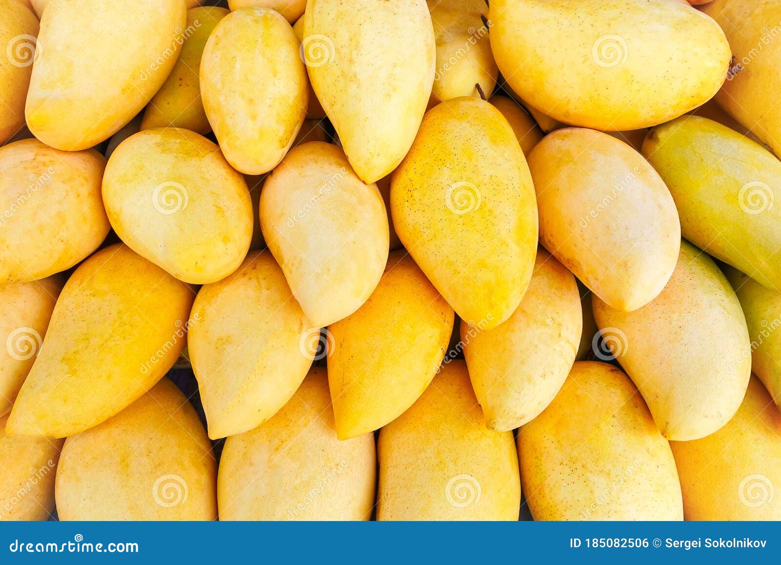 Yellow mango close-up stock photo. Image of juicy, nutrition - 185082506