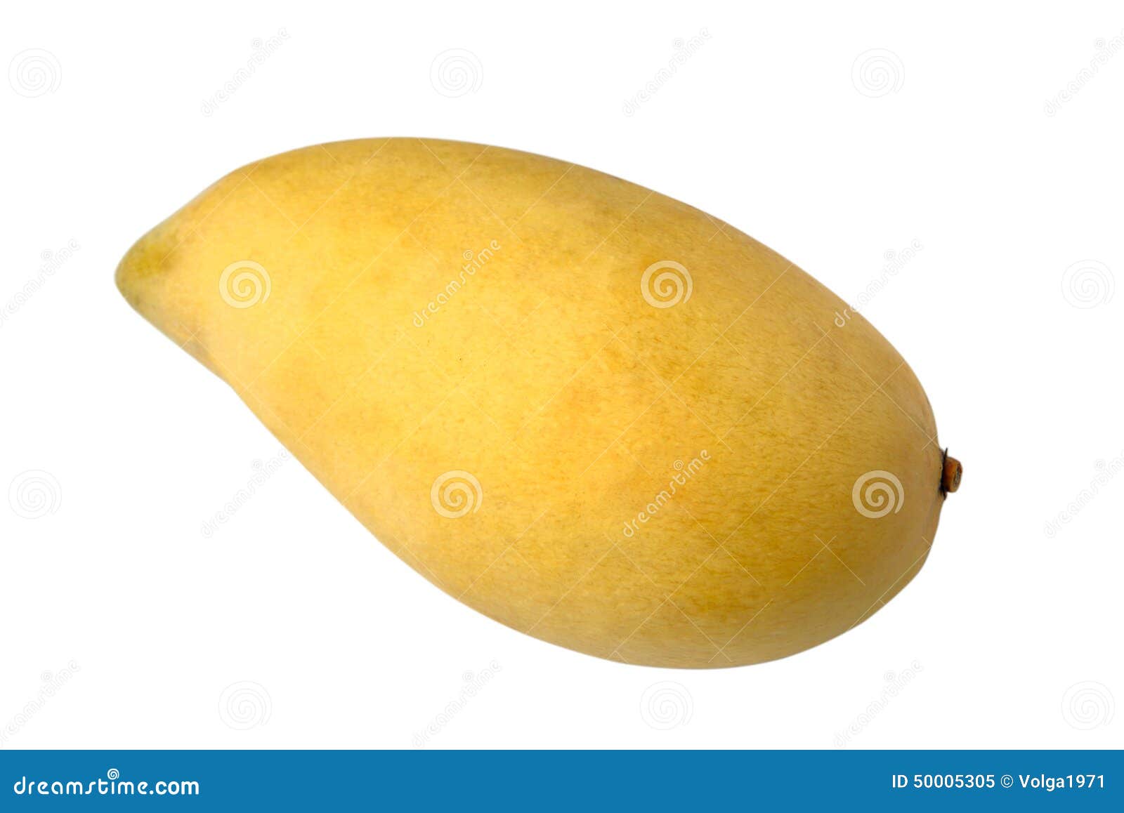 Yellow mango stock image. Image of isolated, dessert - 50005305