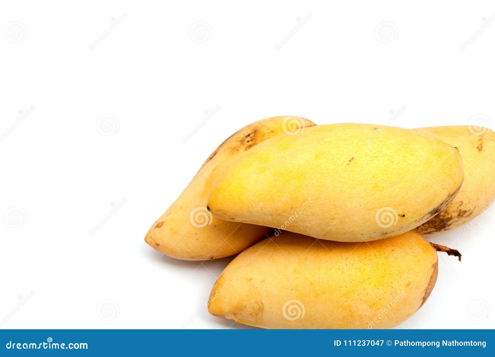 Yellow Mango Isolated on a White Stock Image - Image of leaf, dessert ...