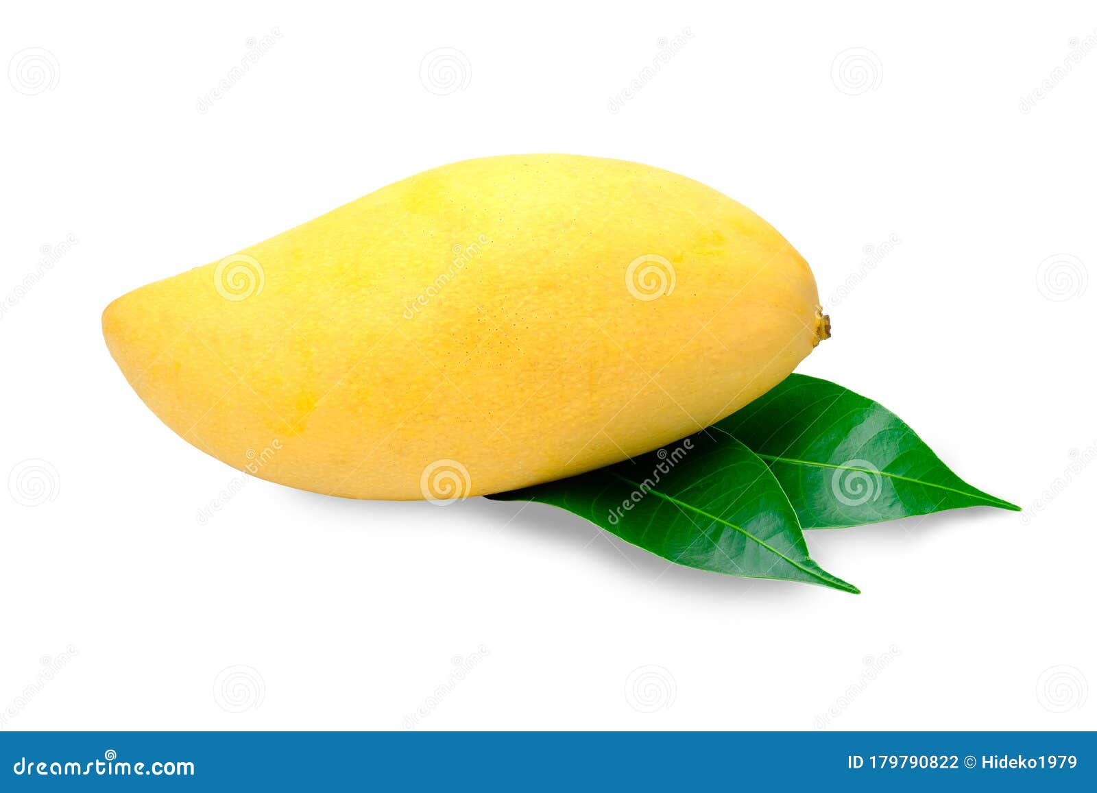 Yellow Mango and Leaf Isolated on White Background with Clipping Path ...