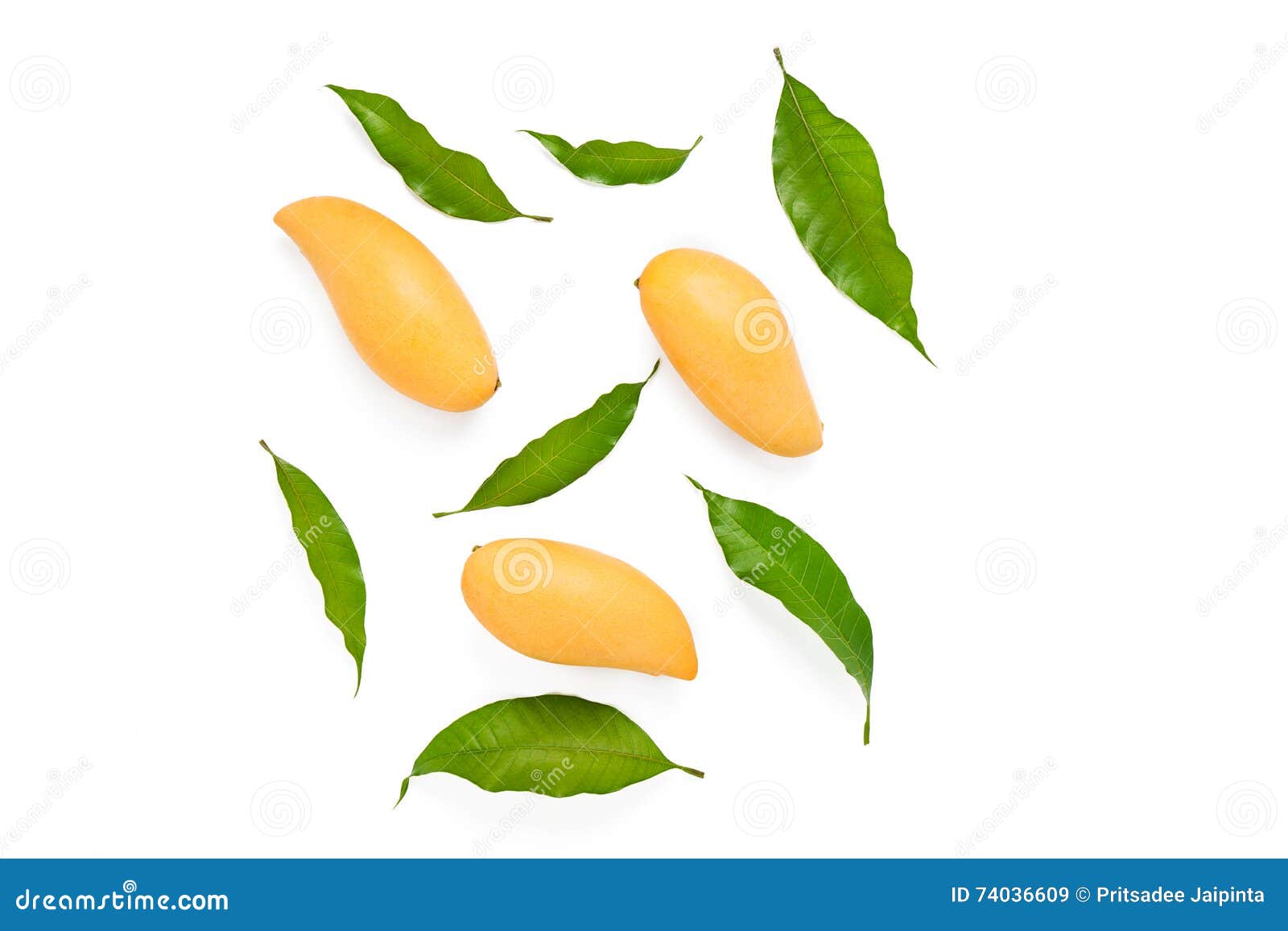 Yellow mango and leaf stock image. Image of dieting, healthy - 74036609