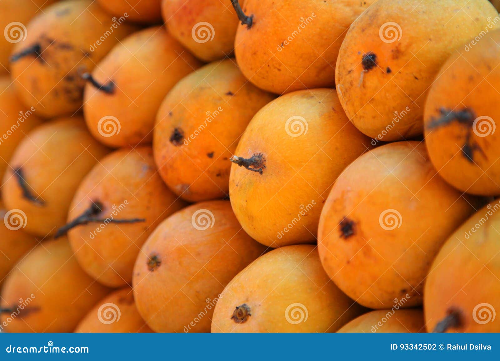 Yellow Mango stock photo. Image of orange, local, natural - 93342502