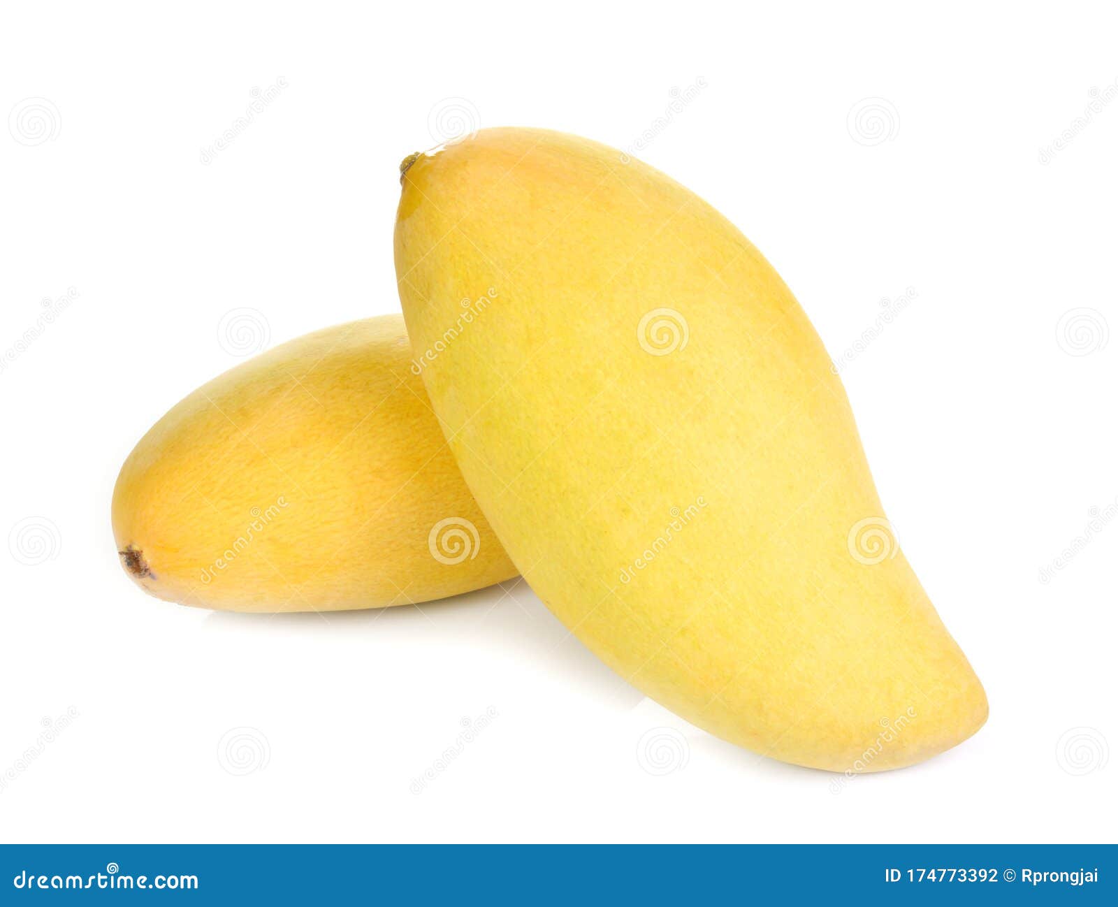 Yellow mango stock photo. Image of fruit, mango, isolated - 174773392