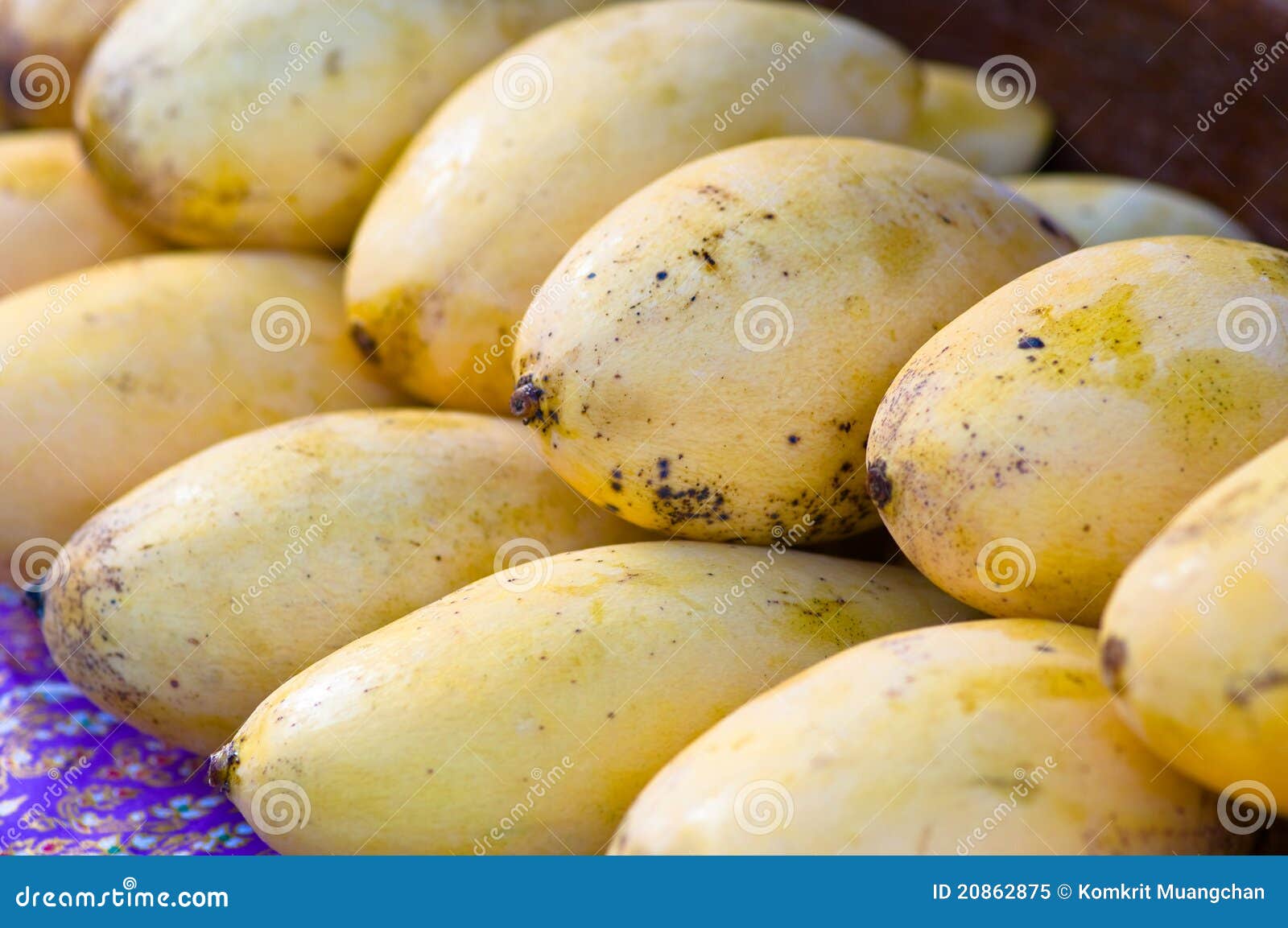 Yellow mangoes stock image. Image of diet, fiber, farm - 20862875
