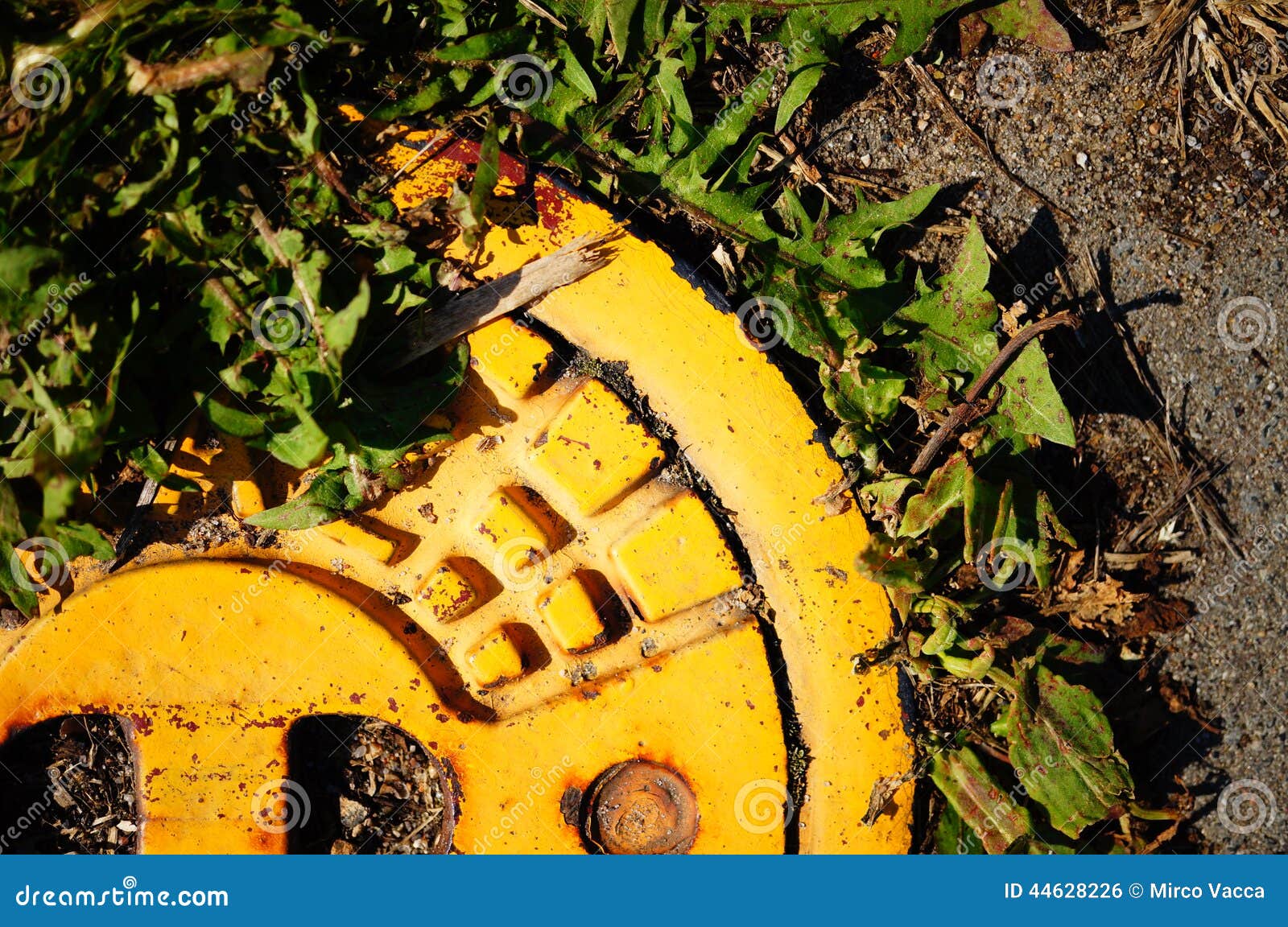 Yellow manhole stock photo. Image of manhole, cover, weed - 44628226