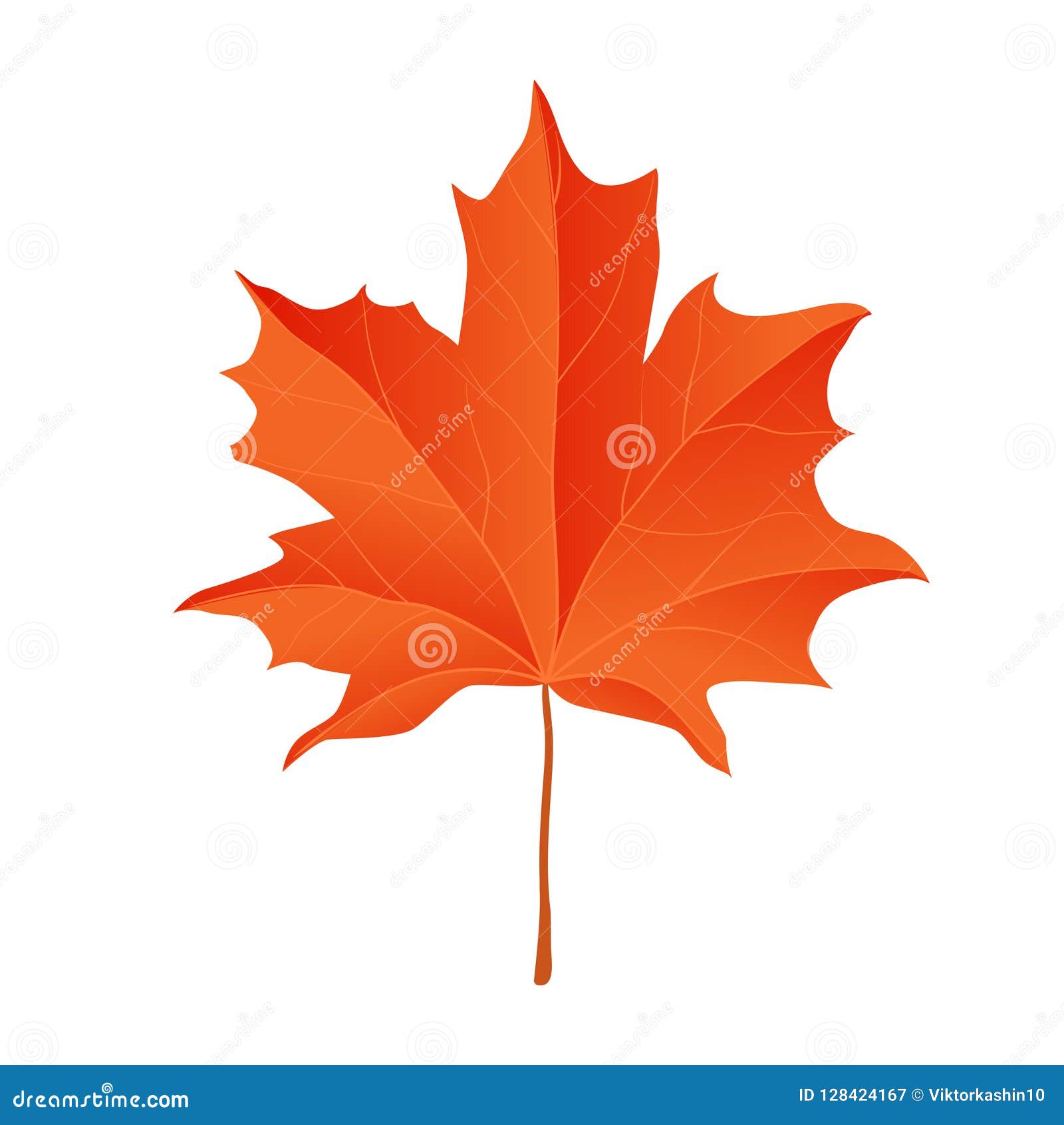 Yellow Maple Leaf. Vector Illustration. Isolated Object on White ...