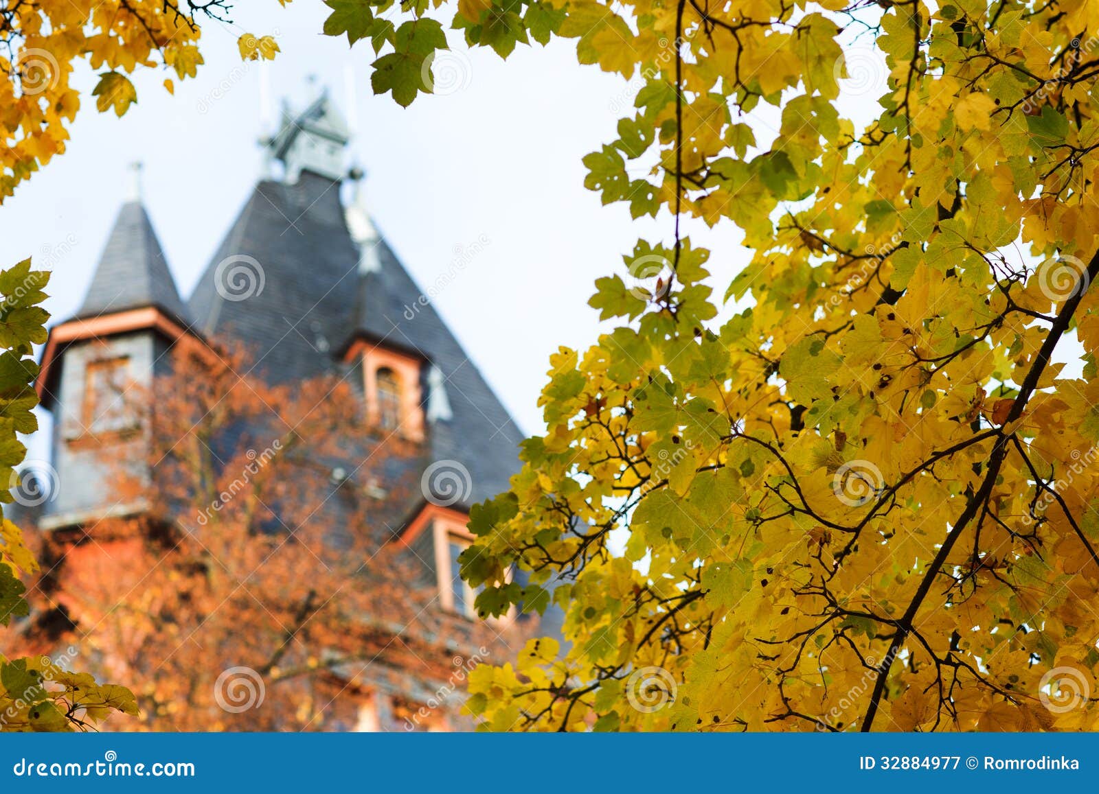 Yellow Maple Trees in Park in Germany Stock Image - Image of autumn ...