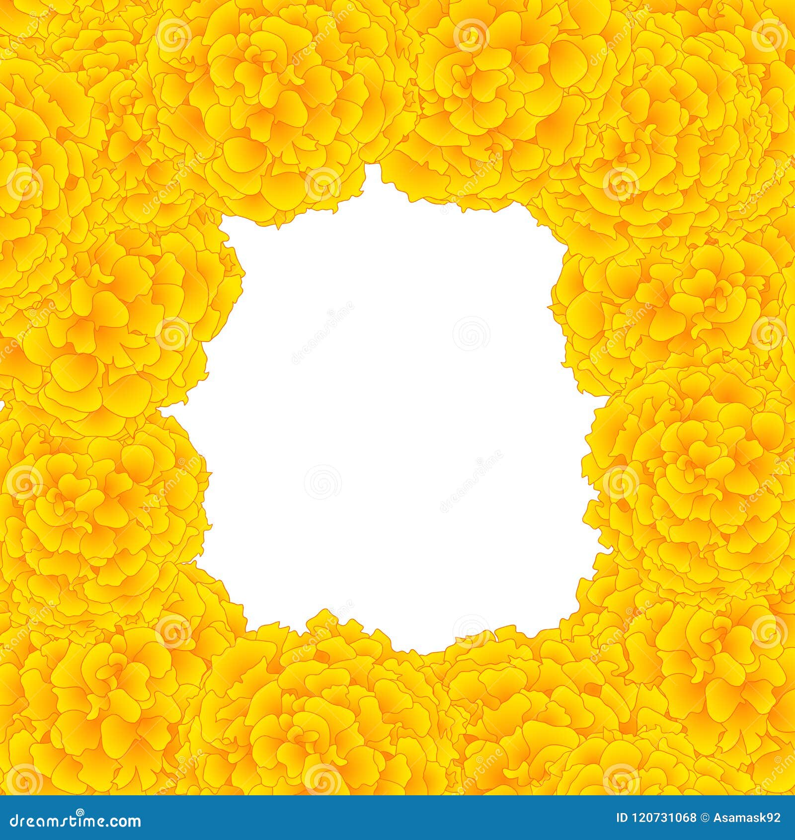 Yellow Marigold Border Isolated on White Background. Vector ...