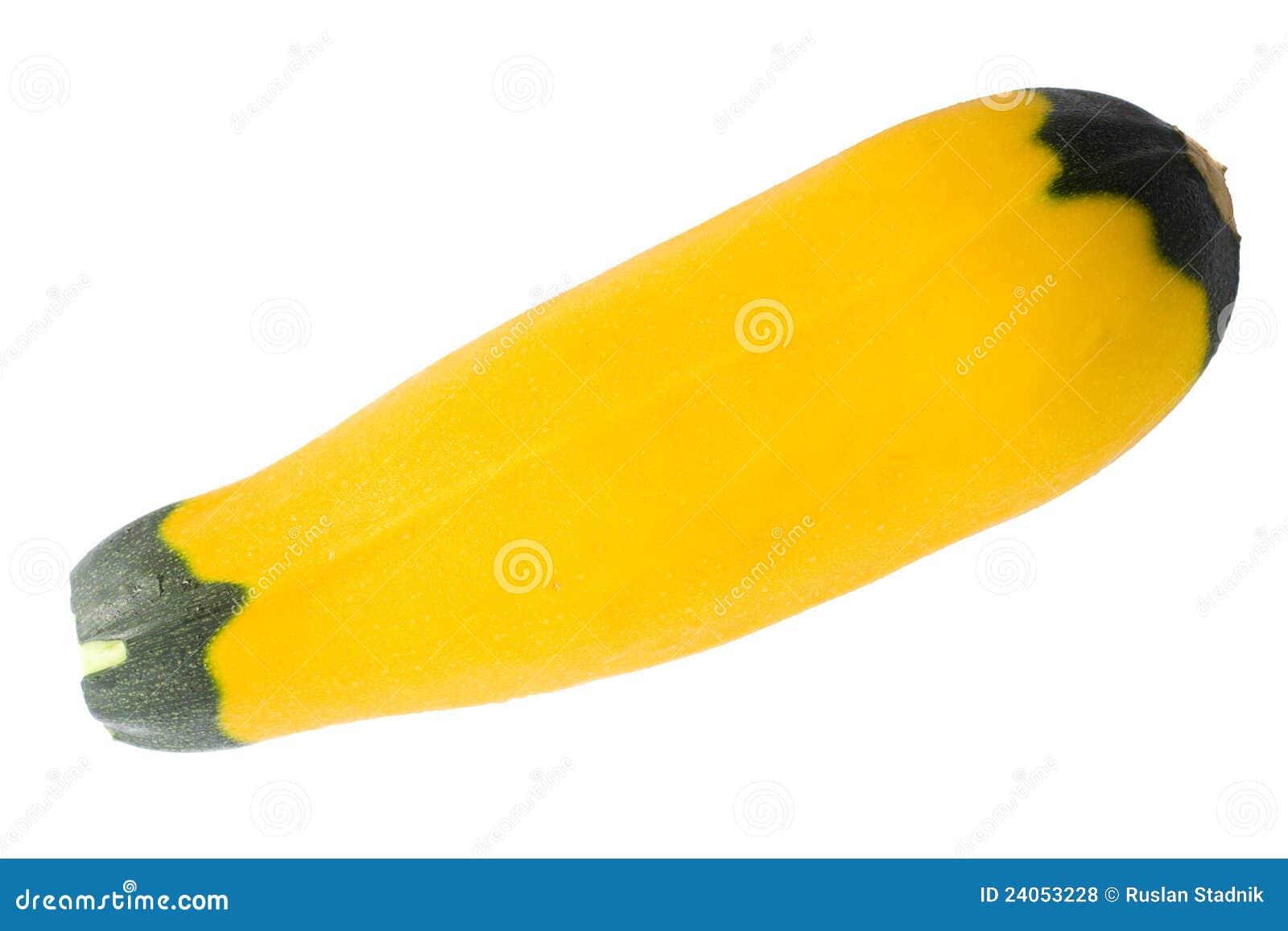 Yellow Marrow stock photo. Image of gourd, healthy, gourmet - 24053228