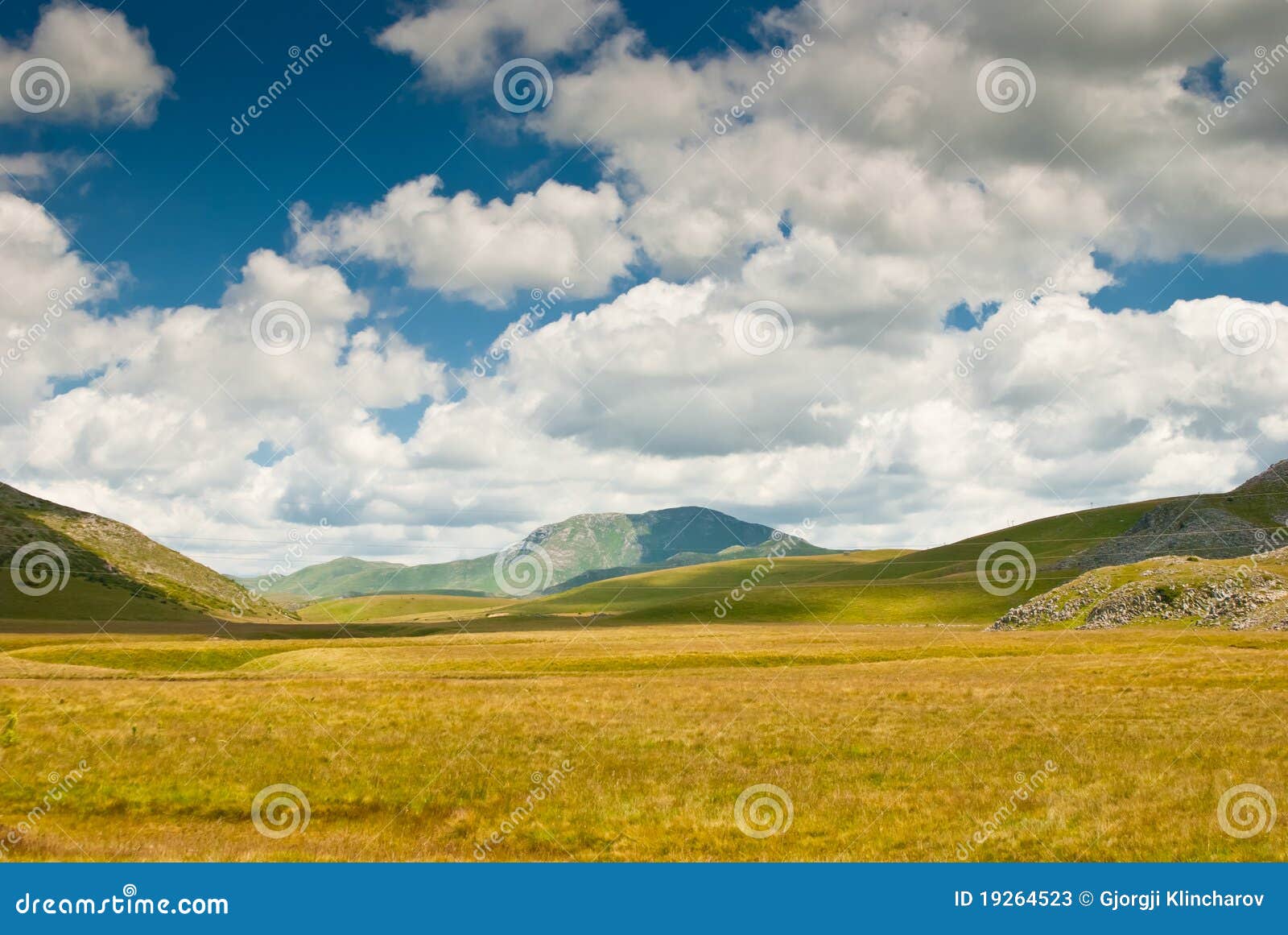Yellow meadow stock image. Image of dream, nature, cloudy - 19264523