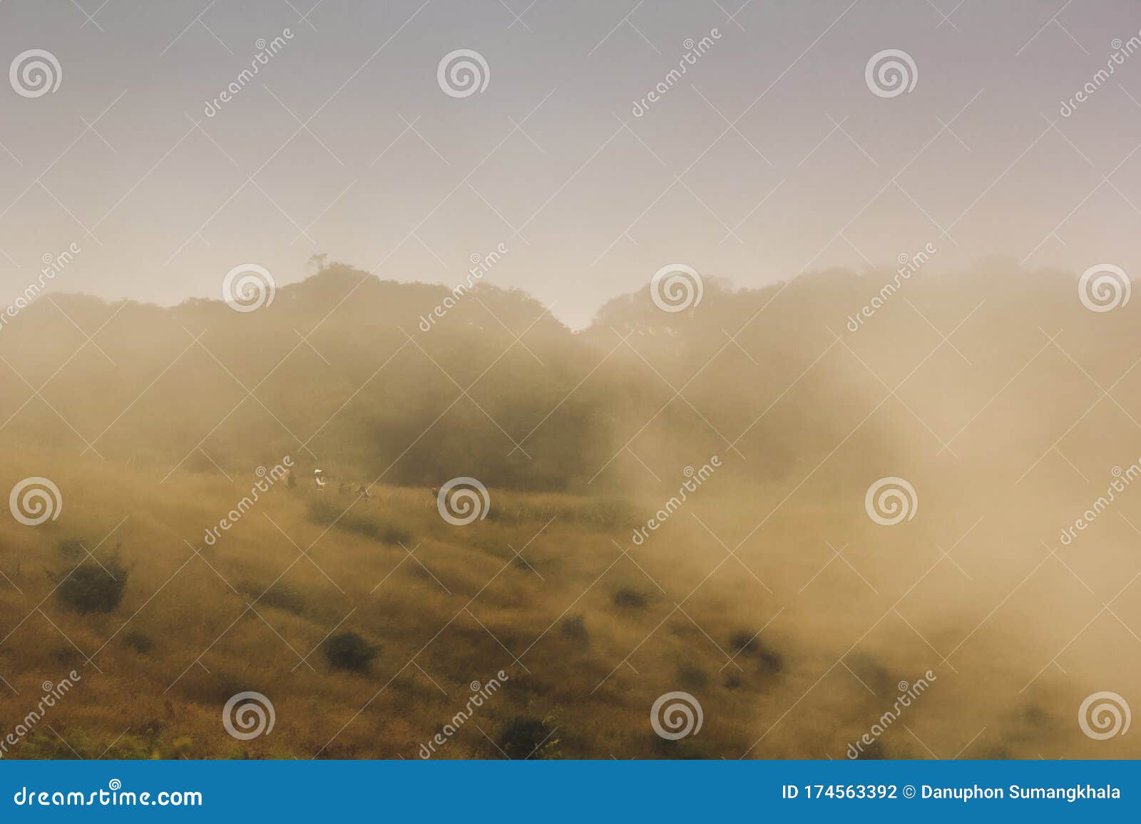 Yellow Meadow on a Hill and the White Mist Floating Over the Top of the ...
