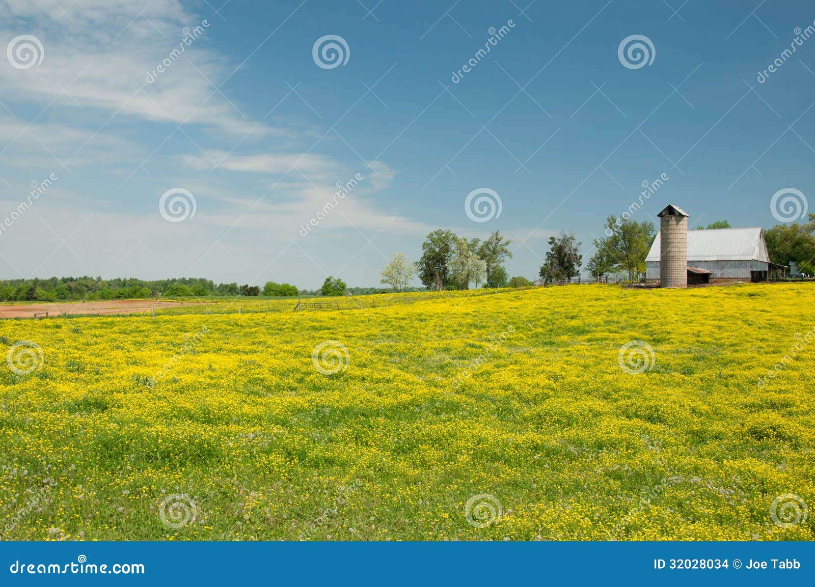 Yellow Meadow stock photo. Image of landscape, silo, barn - 32028034